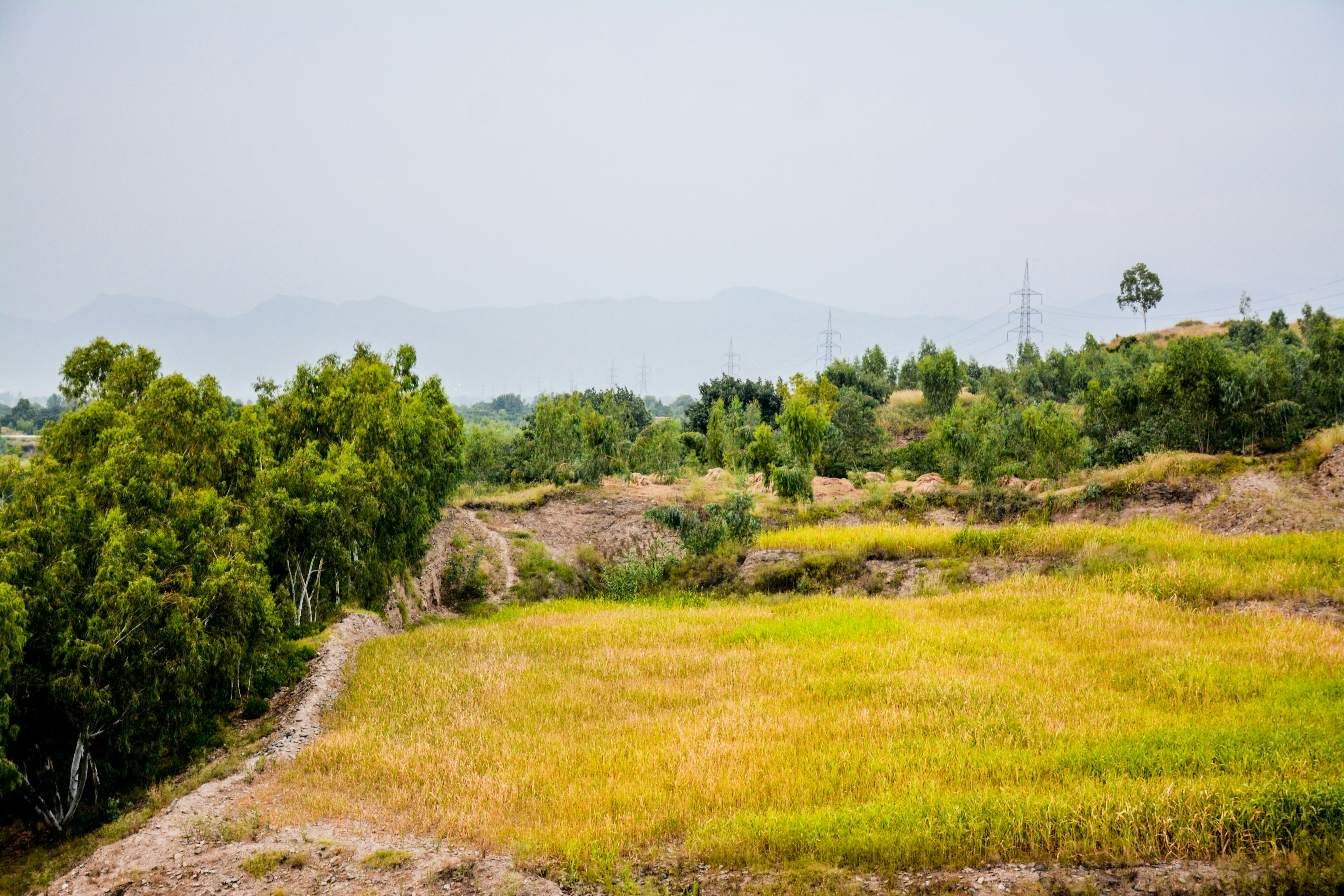 Hanuman Landscape Wallpaper 4k Pictures | Download Free Images on Unsplash