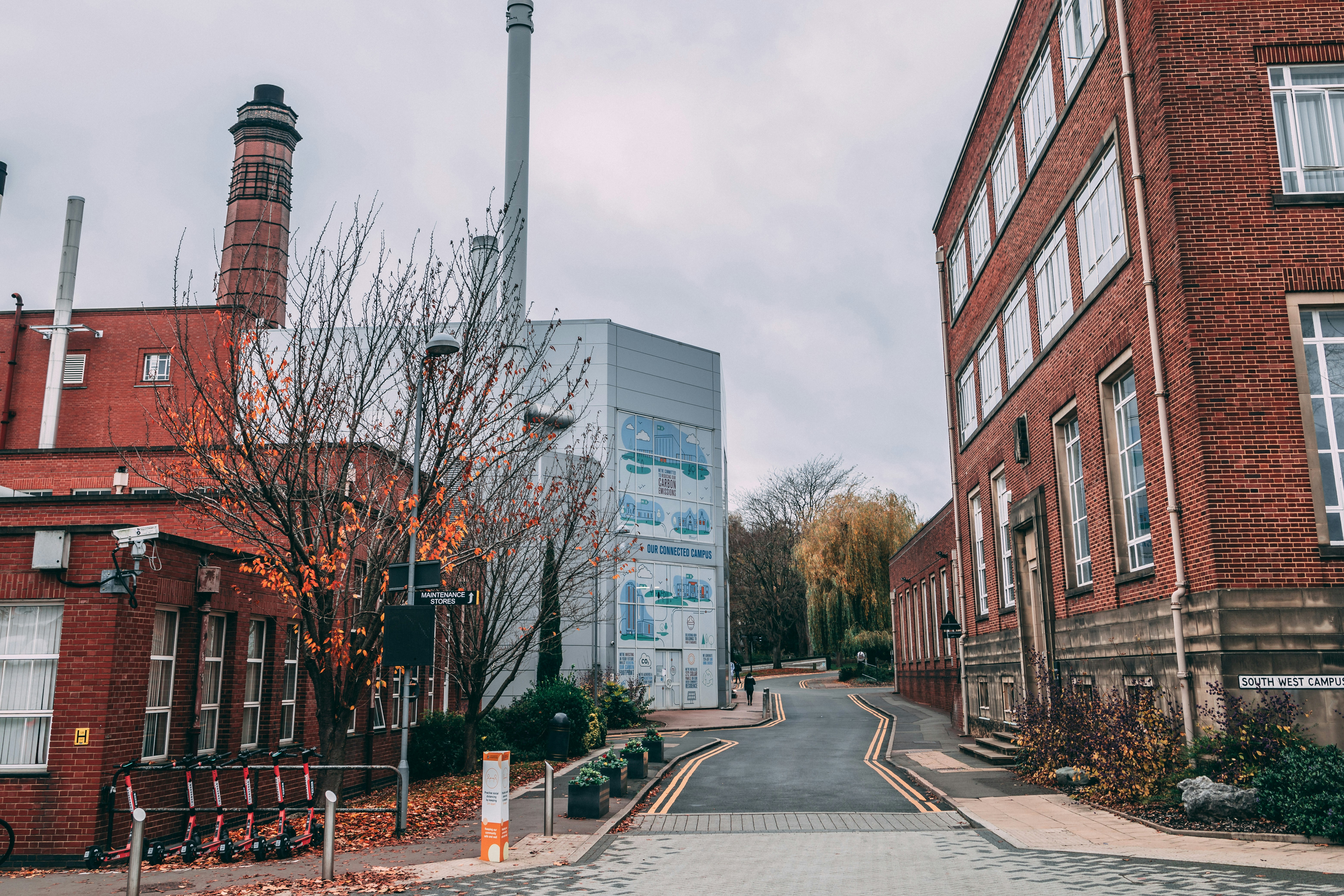 Urban street flanked by brick buildings and a mural, with bare trees and autumn leaves under a cloudy sky.