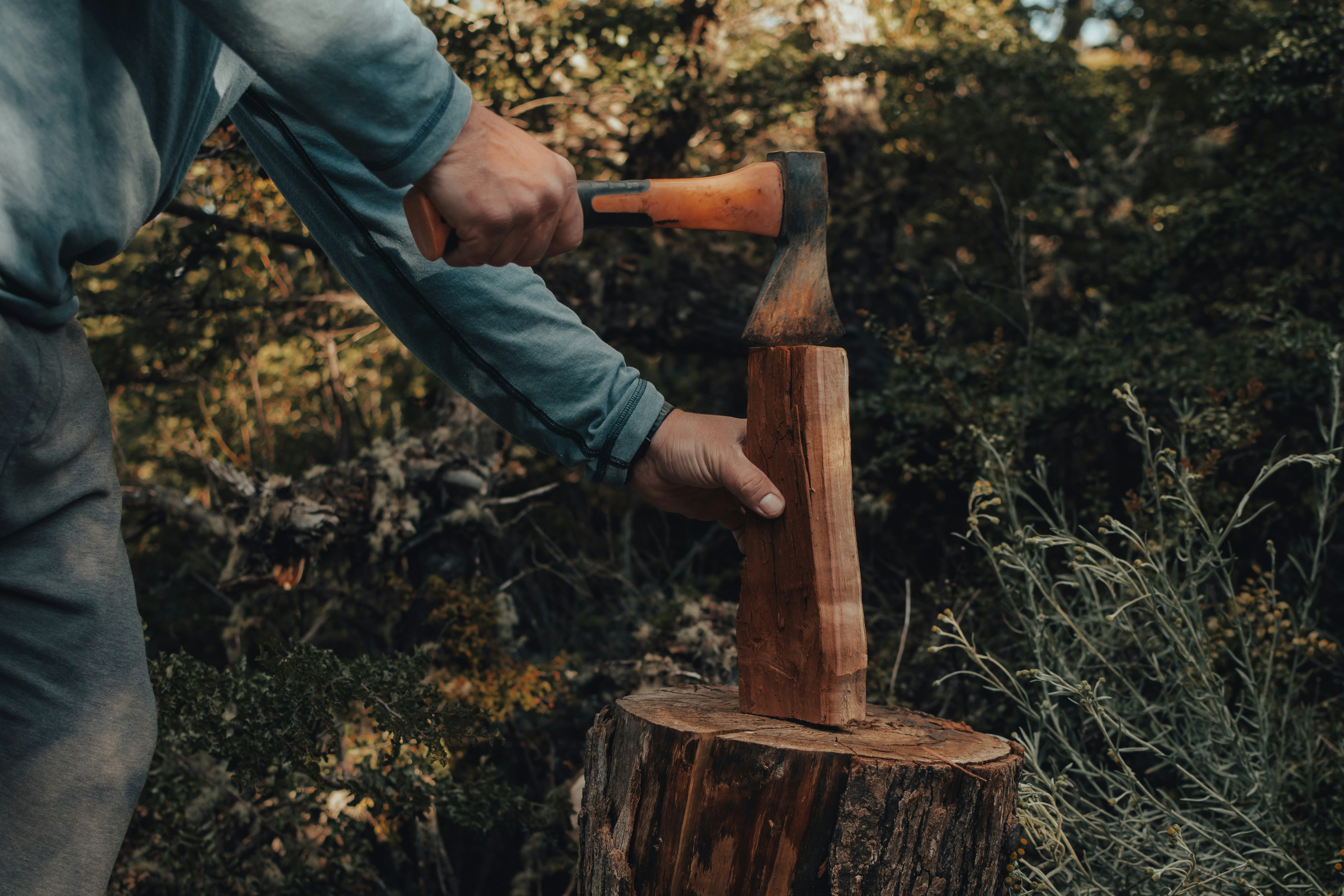 A man holding a large axe over a tree stump photo – Free Human Image on ...