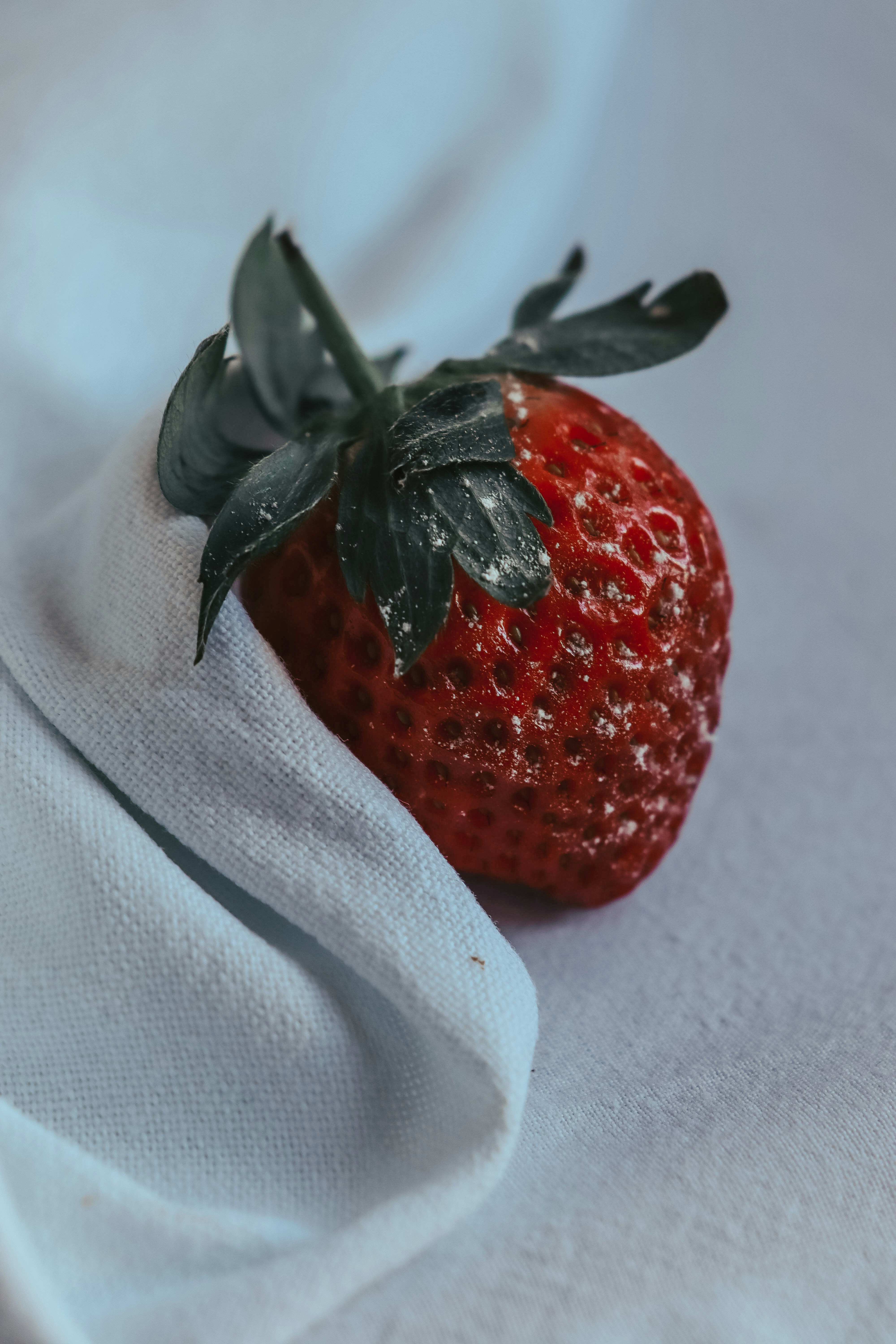 Close-up photograph of a ripe strawberry with a dark-green calyx resting on white fabric, highlighting surface texture and moisture.
