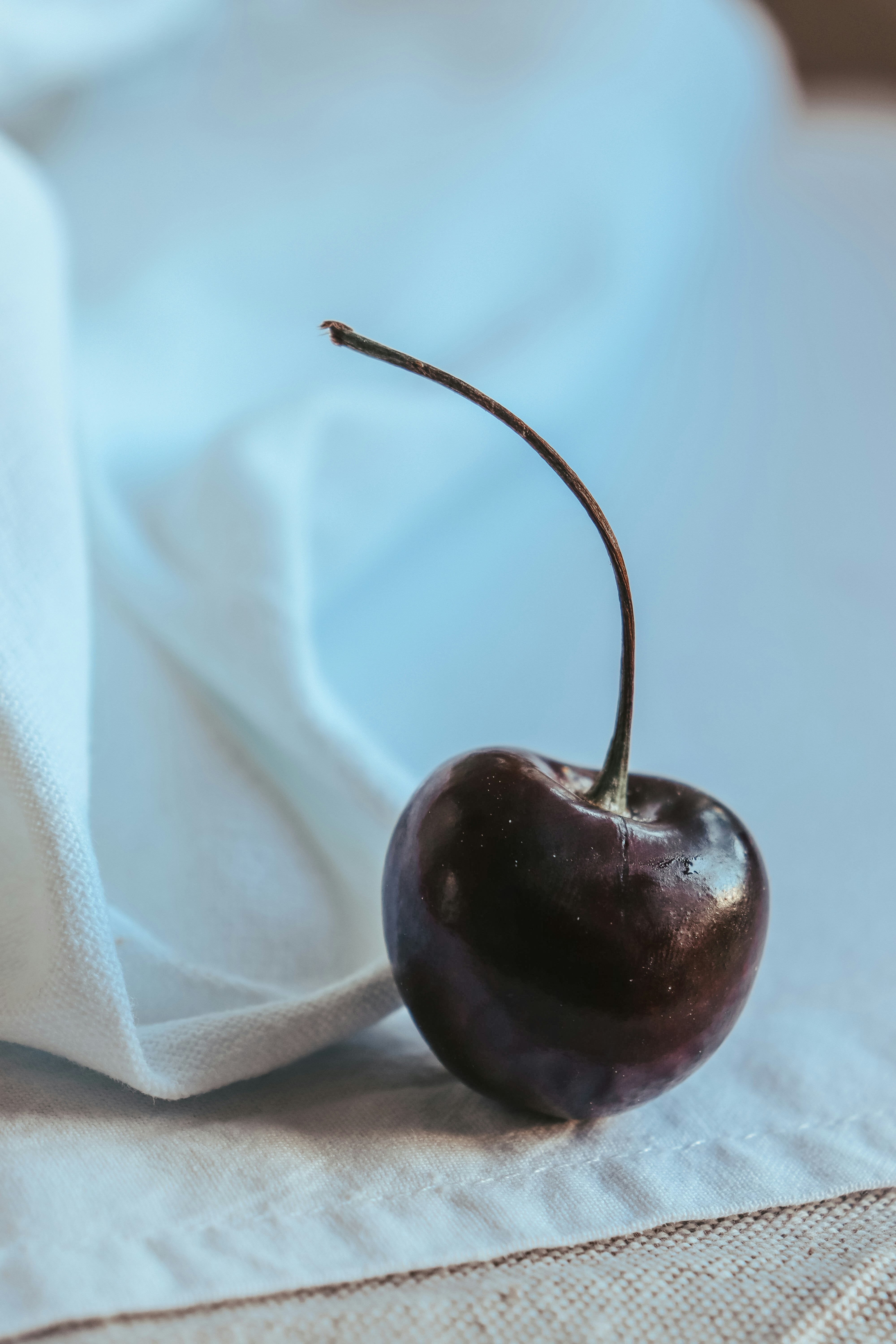 A single dark cherry rests elegantly on a soft fabric, highlighting its glossy surface and delicate stem. The subtle textures of the background enhance its allure.