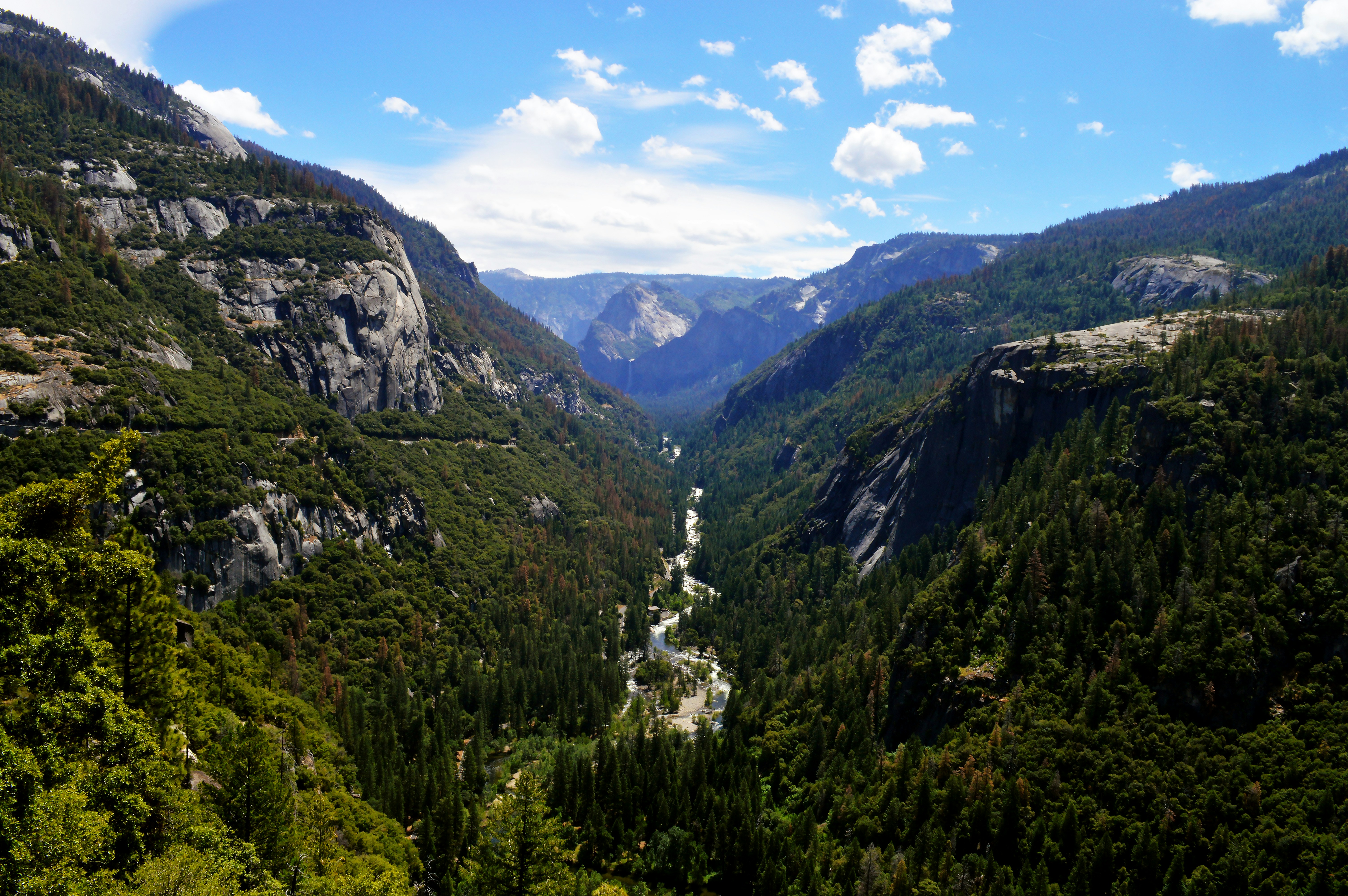 Echo Gorge: River Winding Through Pine-Clad Canyon