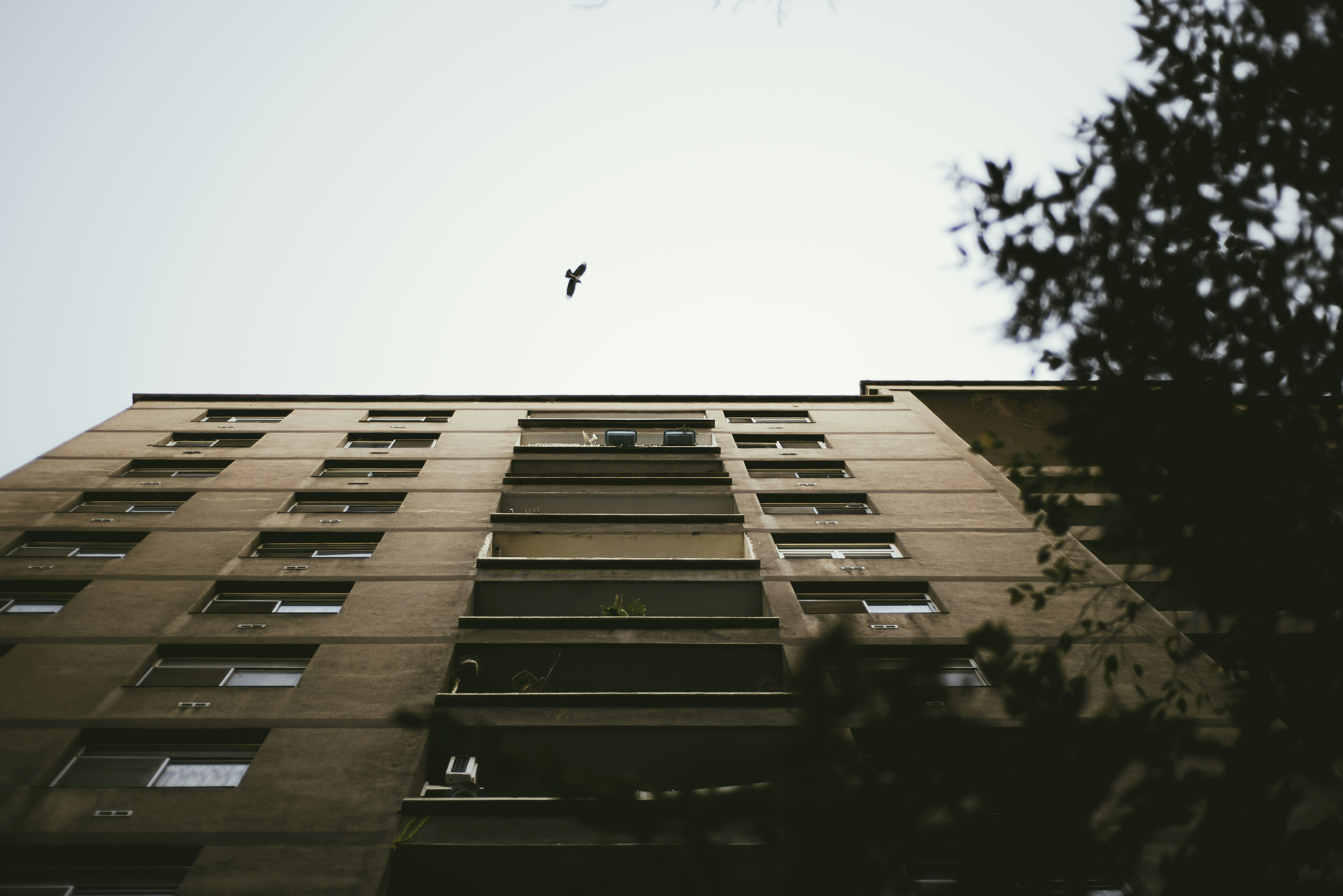 a tall building with lots of windows and a bird flying in the sky
