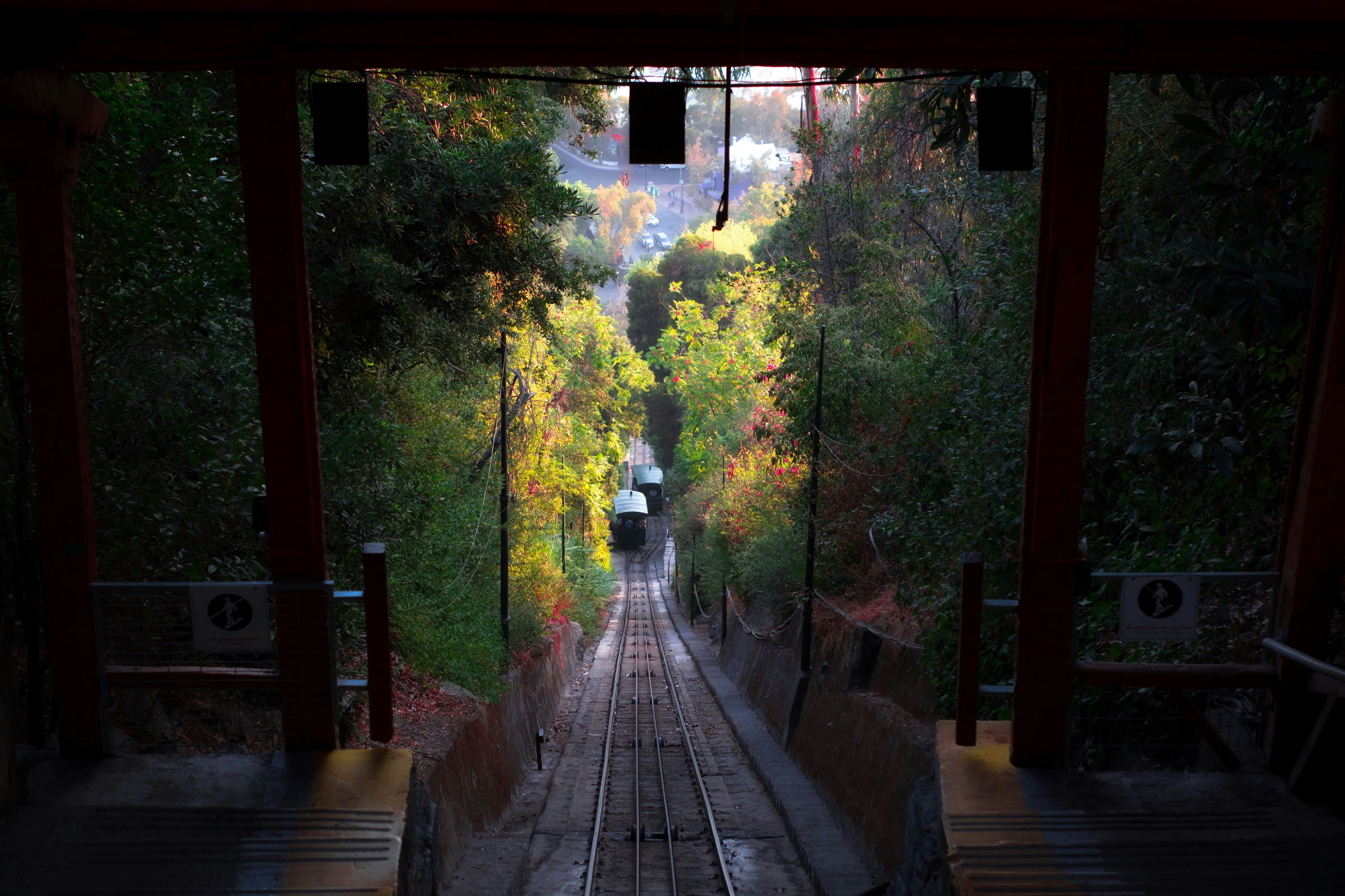 Tram descending a steep, narrow track surrounded by lush greenery and soft evening light.