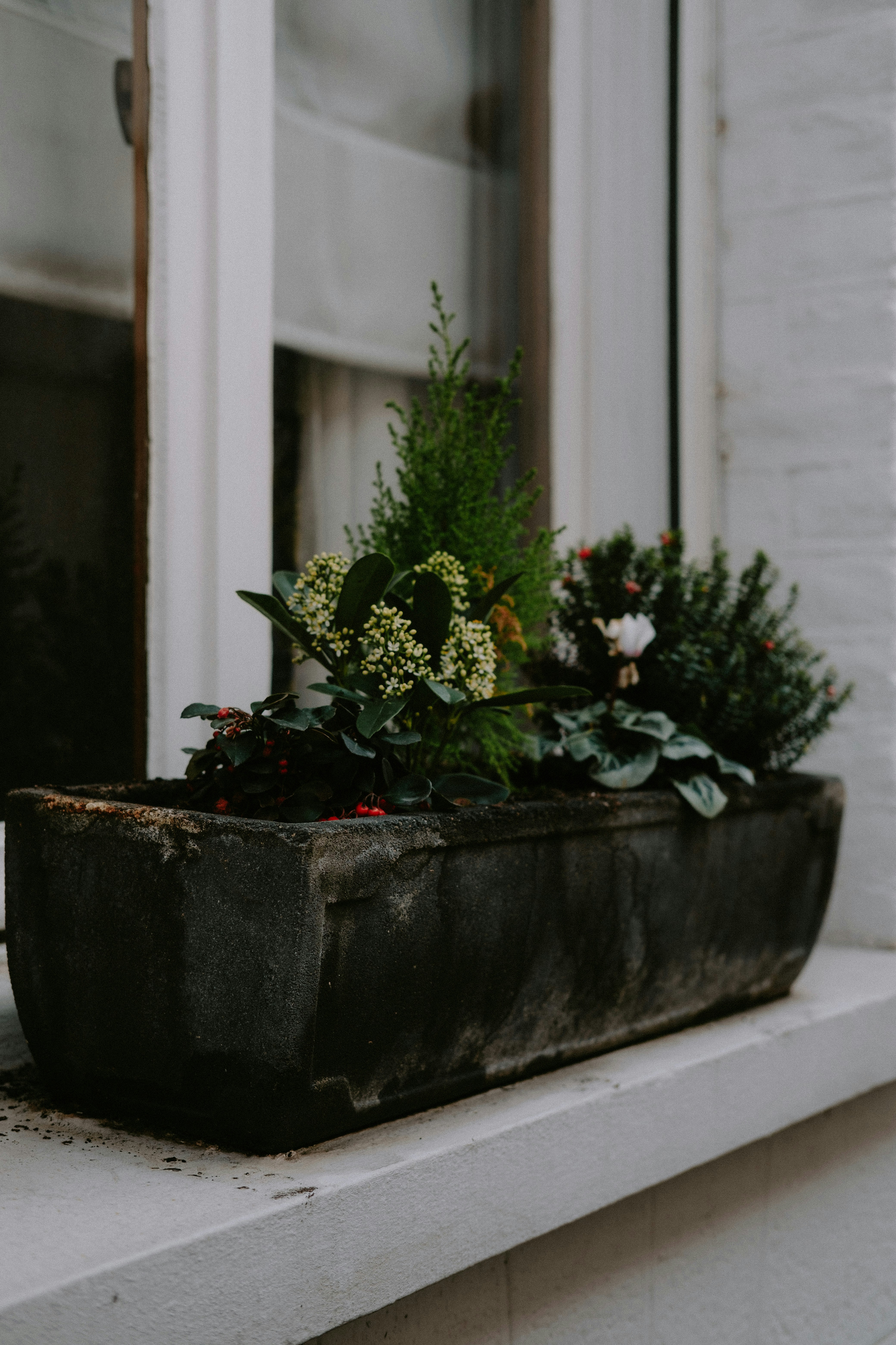 Une plante en pot assise sur un rebord de fenêtre photo – Image ...