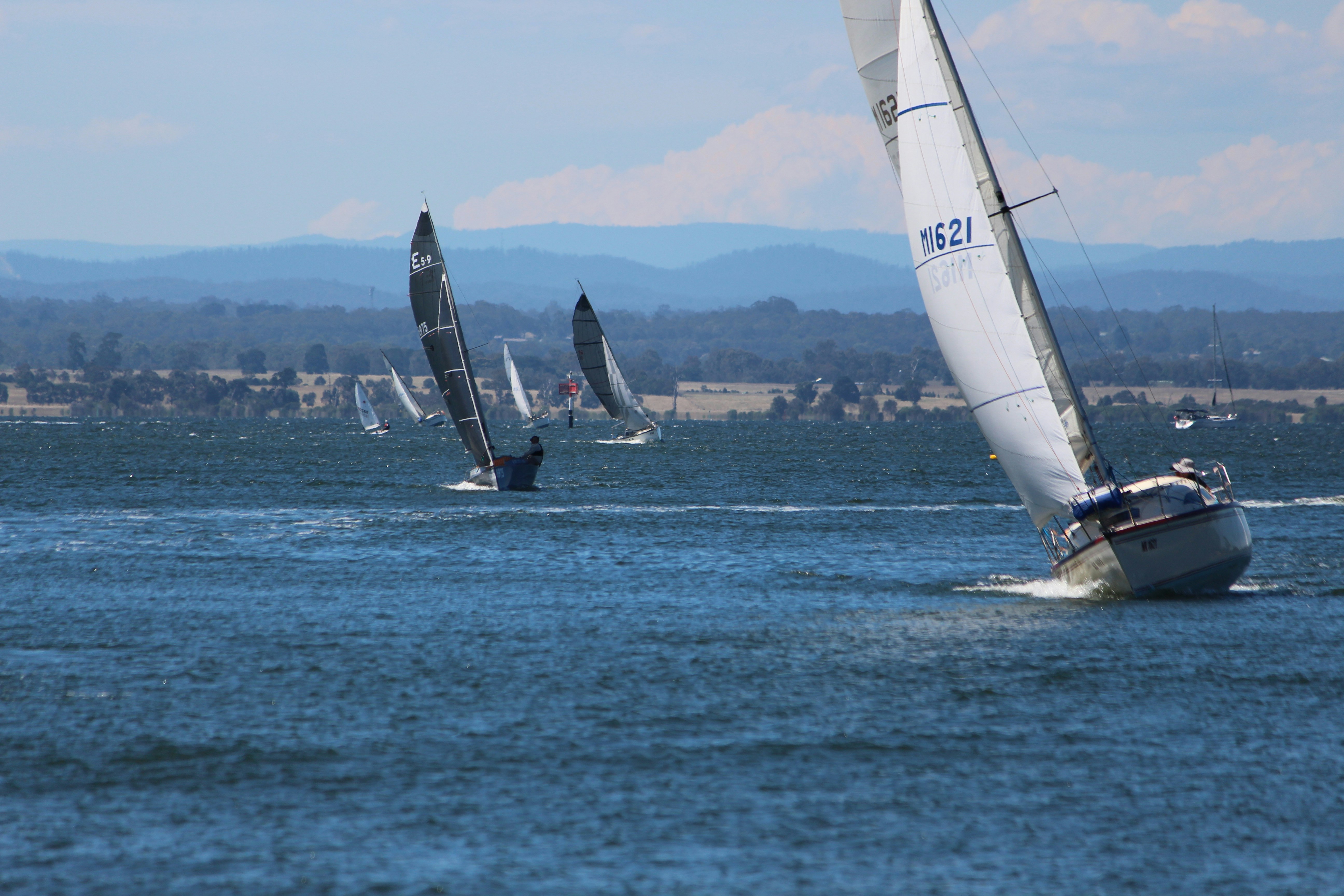 A group of sailboats sailing in the ocean photo – Free Sailing Image on ...