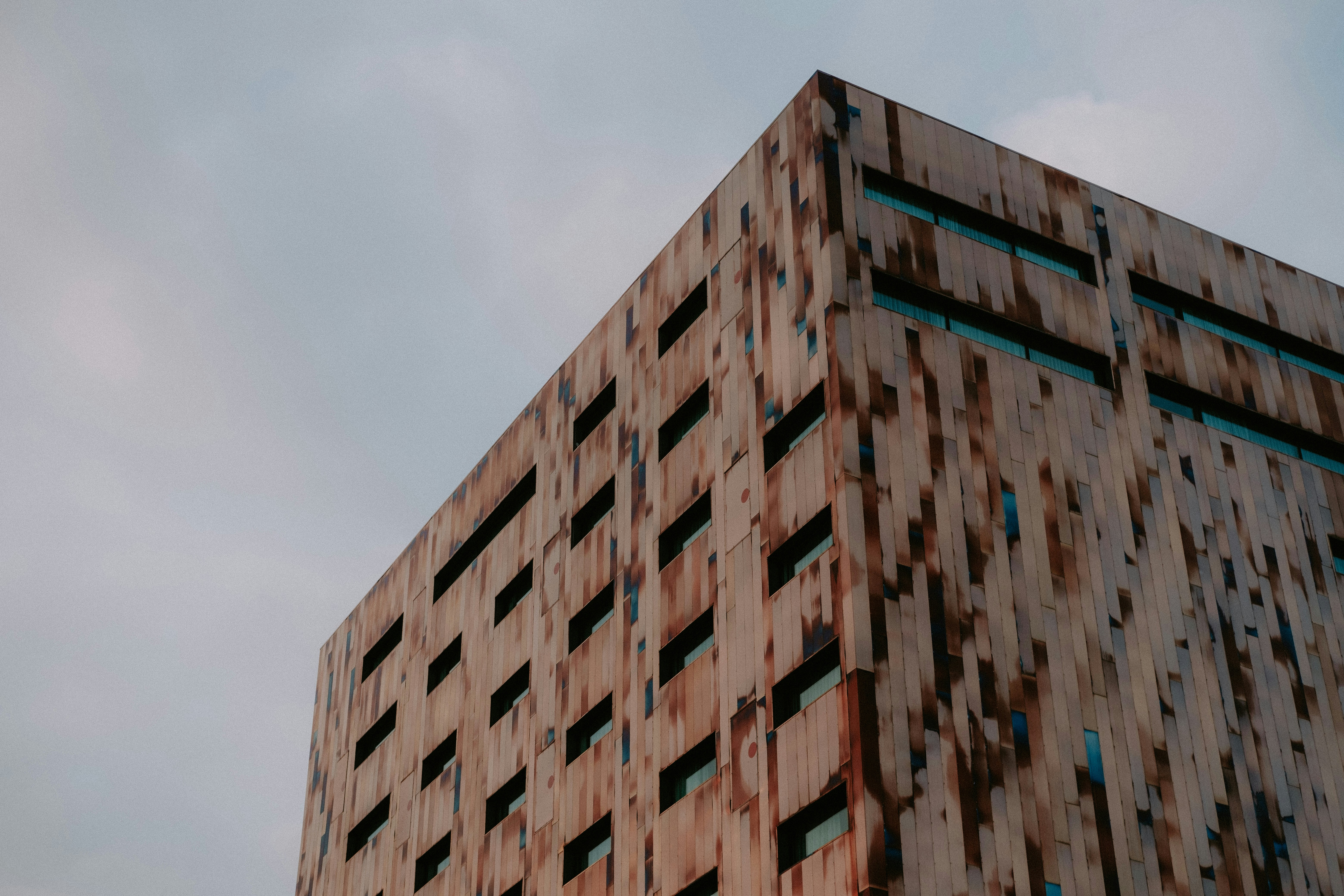 Rust and Glass: Cornered Facade Climbed by Time