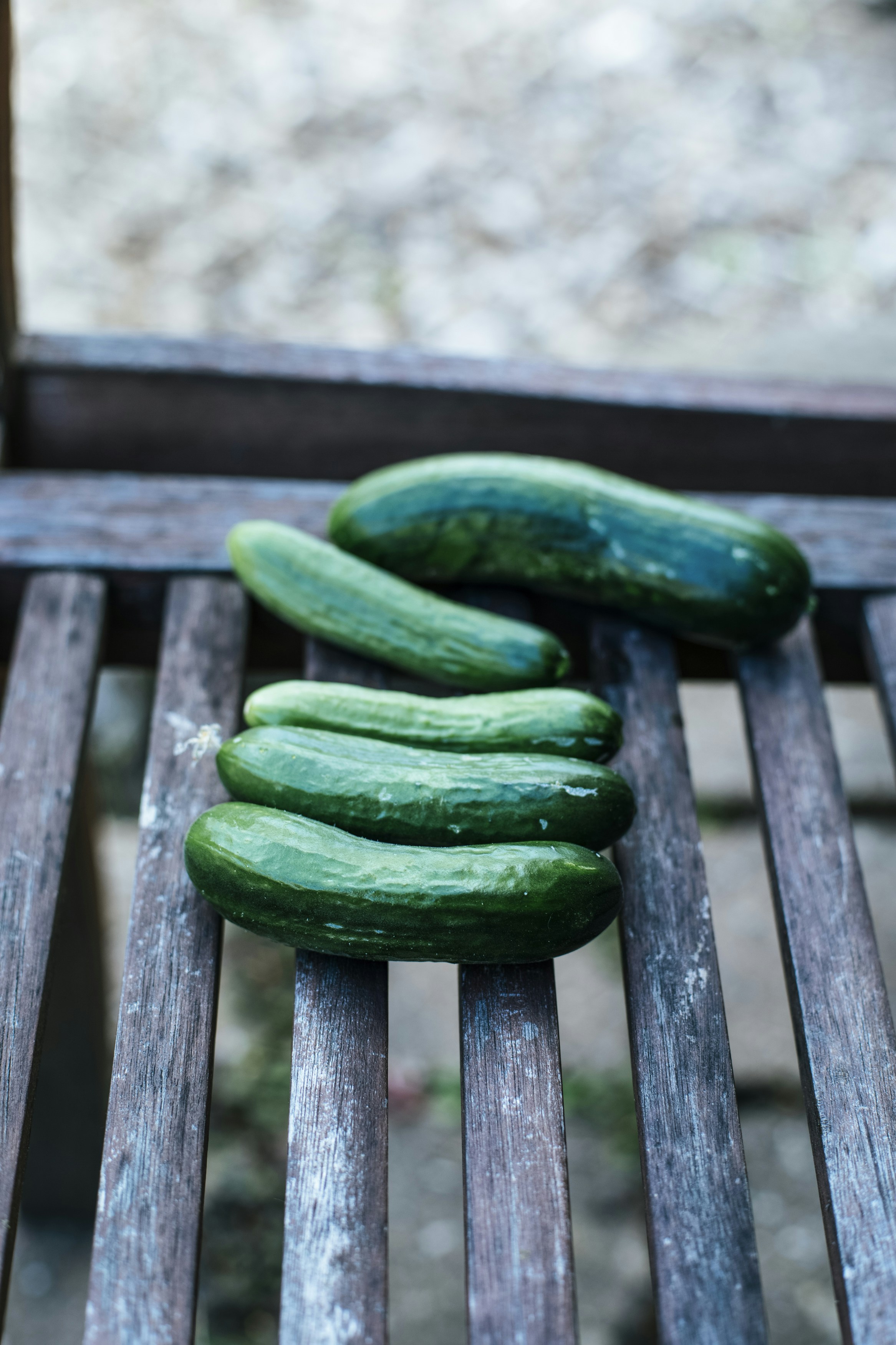 A group of cucumbers sitting on top of a wooden bench photo – Free ...