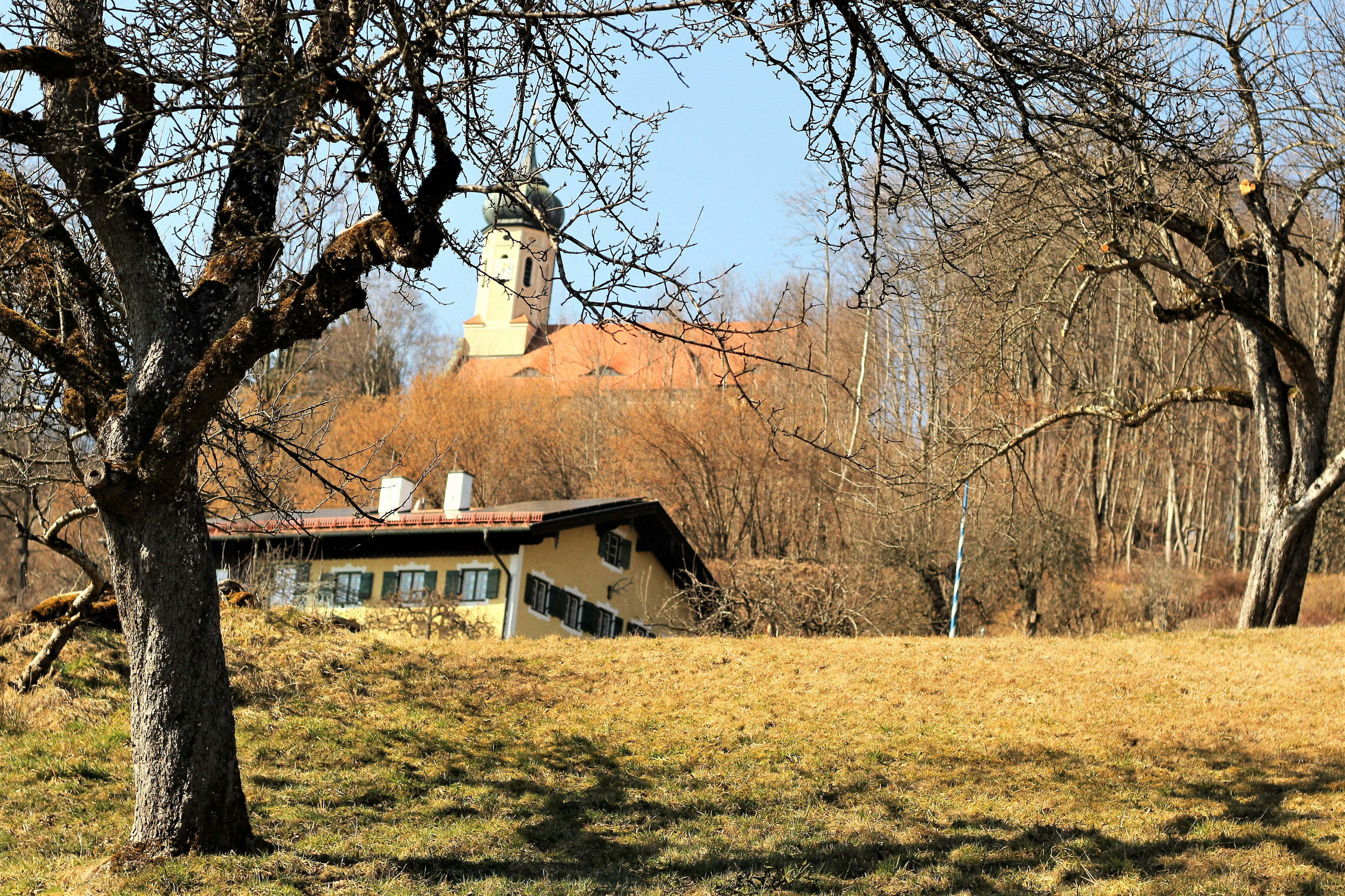 A quaint yellow house nestled in a sunlit landscape, with a distant church tower rising above the trees. The scene captures a serene blend of nature and architecture.
