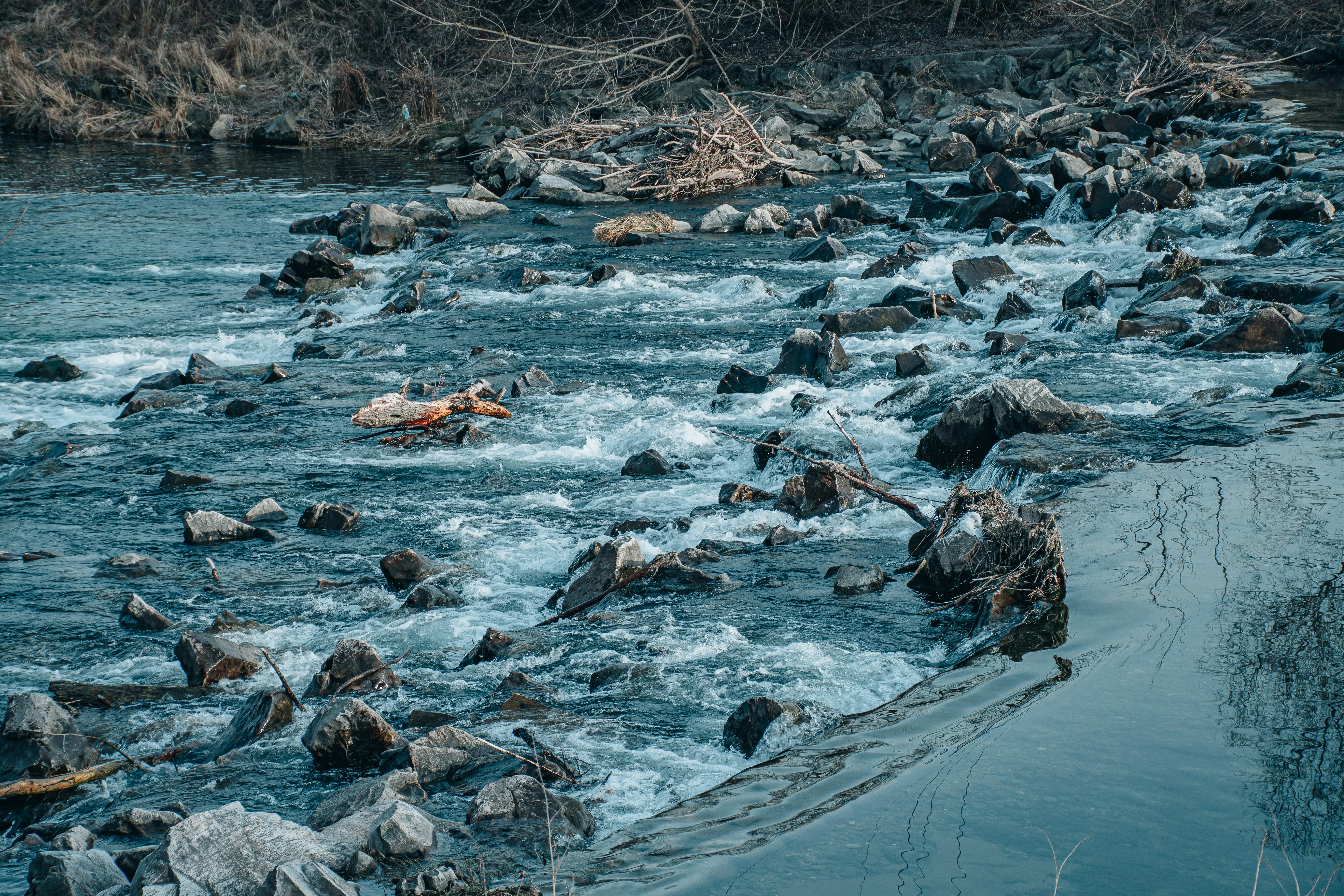 a body of water surrounded by rocks and trees