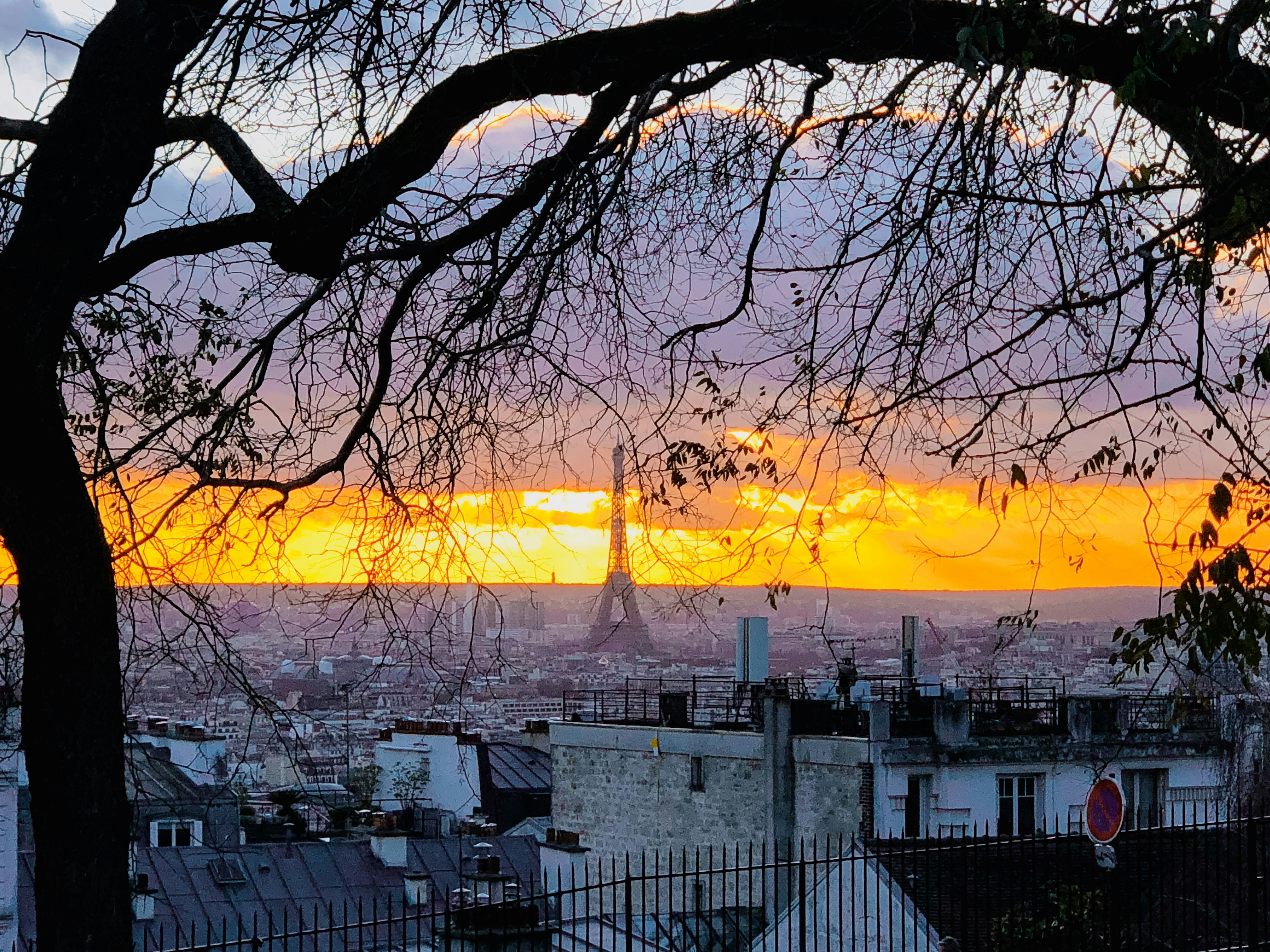 Photograph of a sunset over Paris, with the Eiffel Tower visible on the horizon and branches in the foreground.