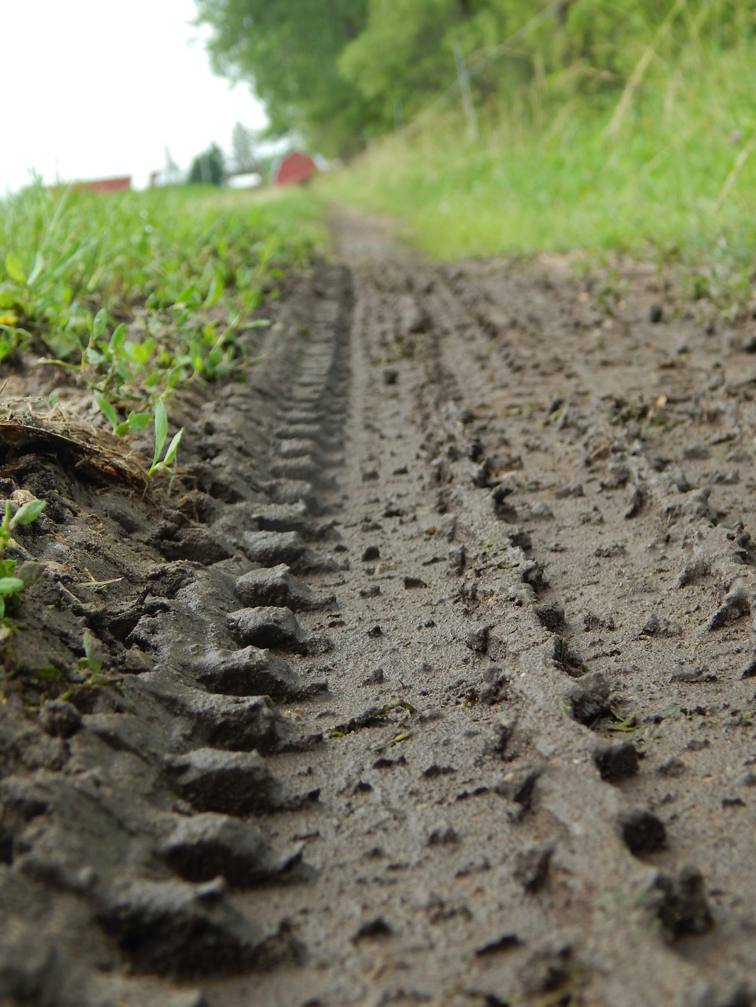 Tire tracks carved into a muddy path, flanked by lush green grass and distant red barns. The scene captures the essence of rural exploration.