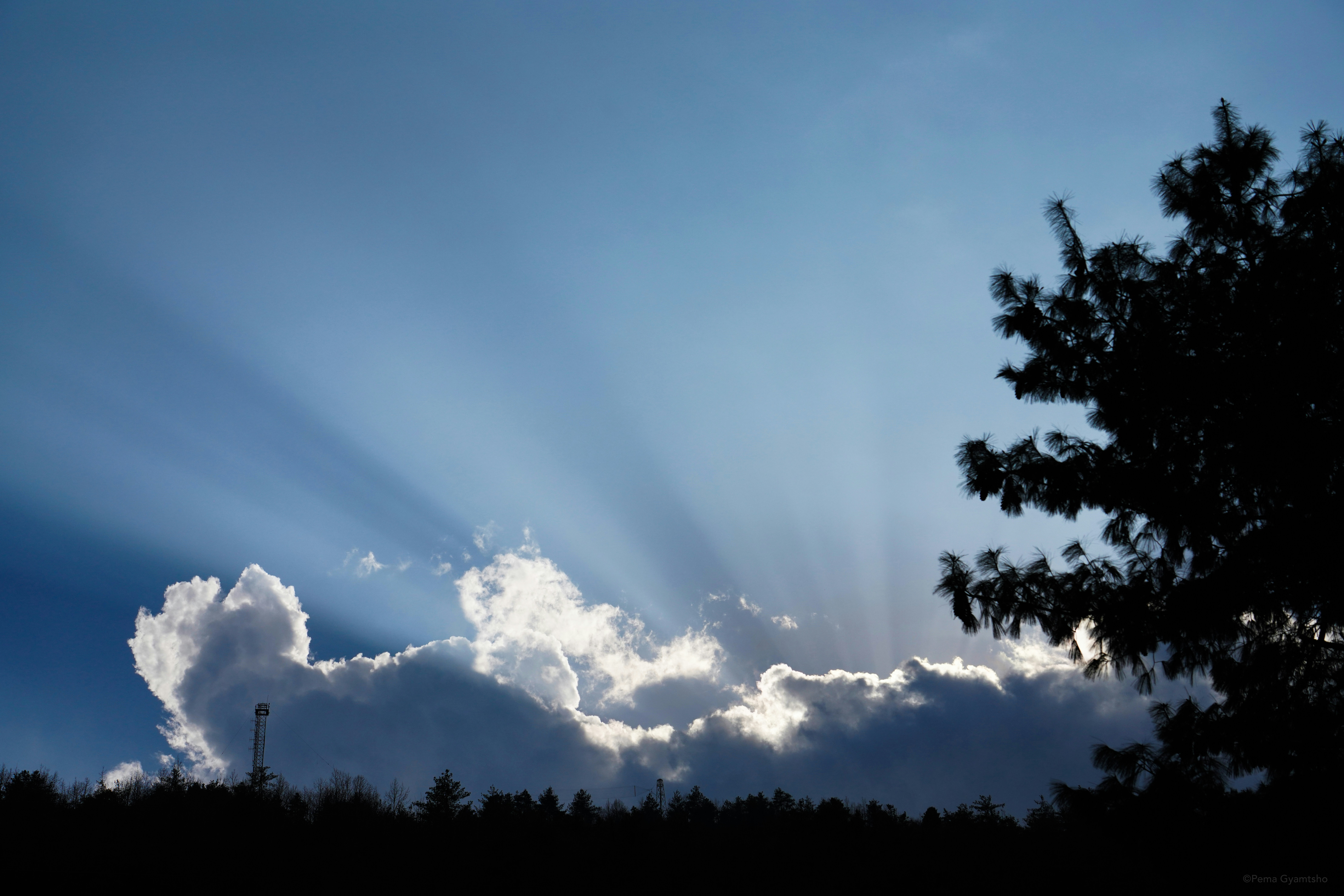 Rays Over the Horizon: Cloudscape Backlit by a Dawn Sun