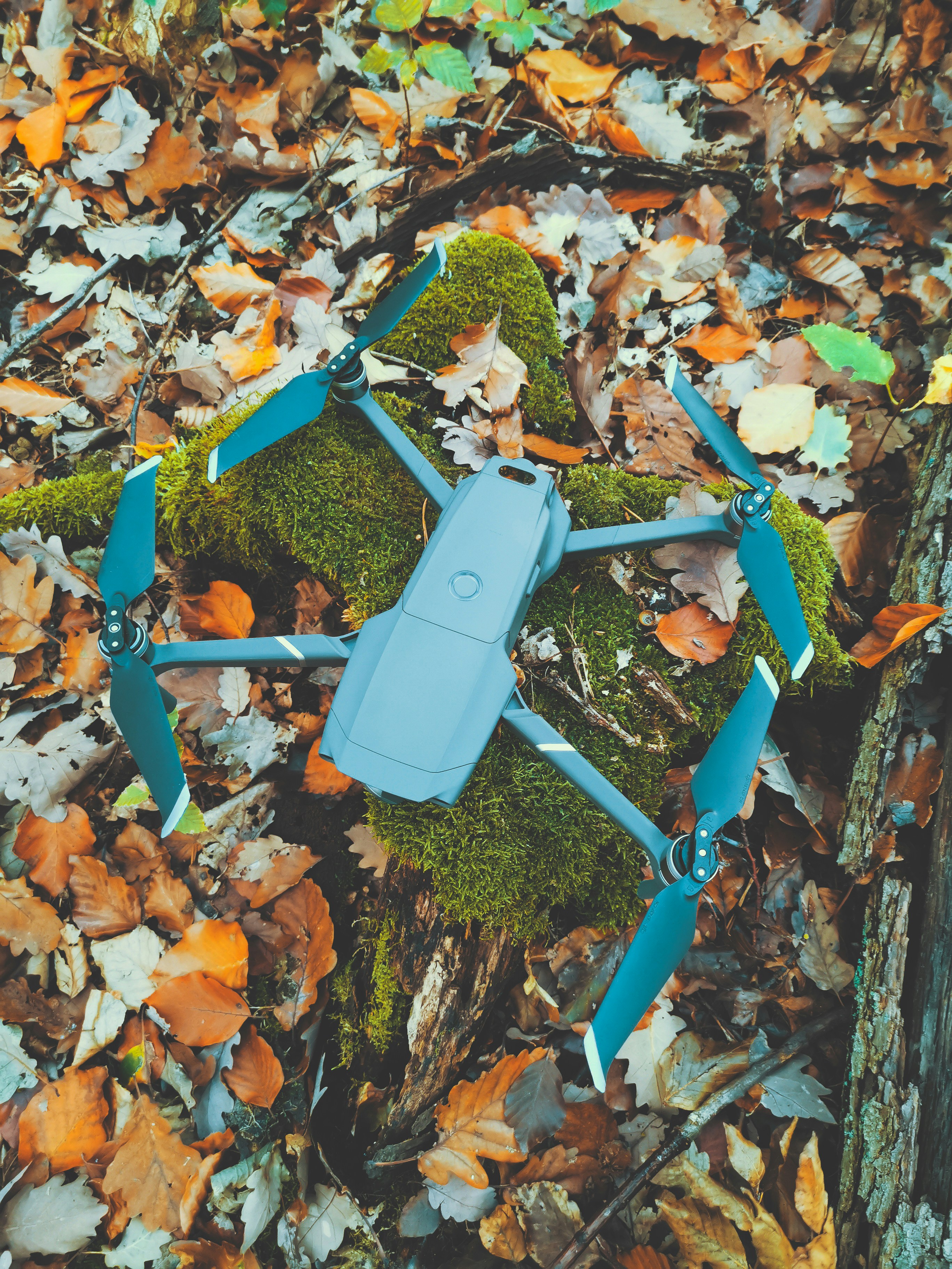 A small blue object is laying on the ground photo – Free Dji Image on ...