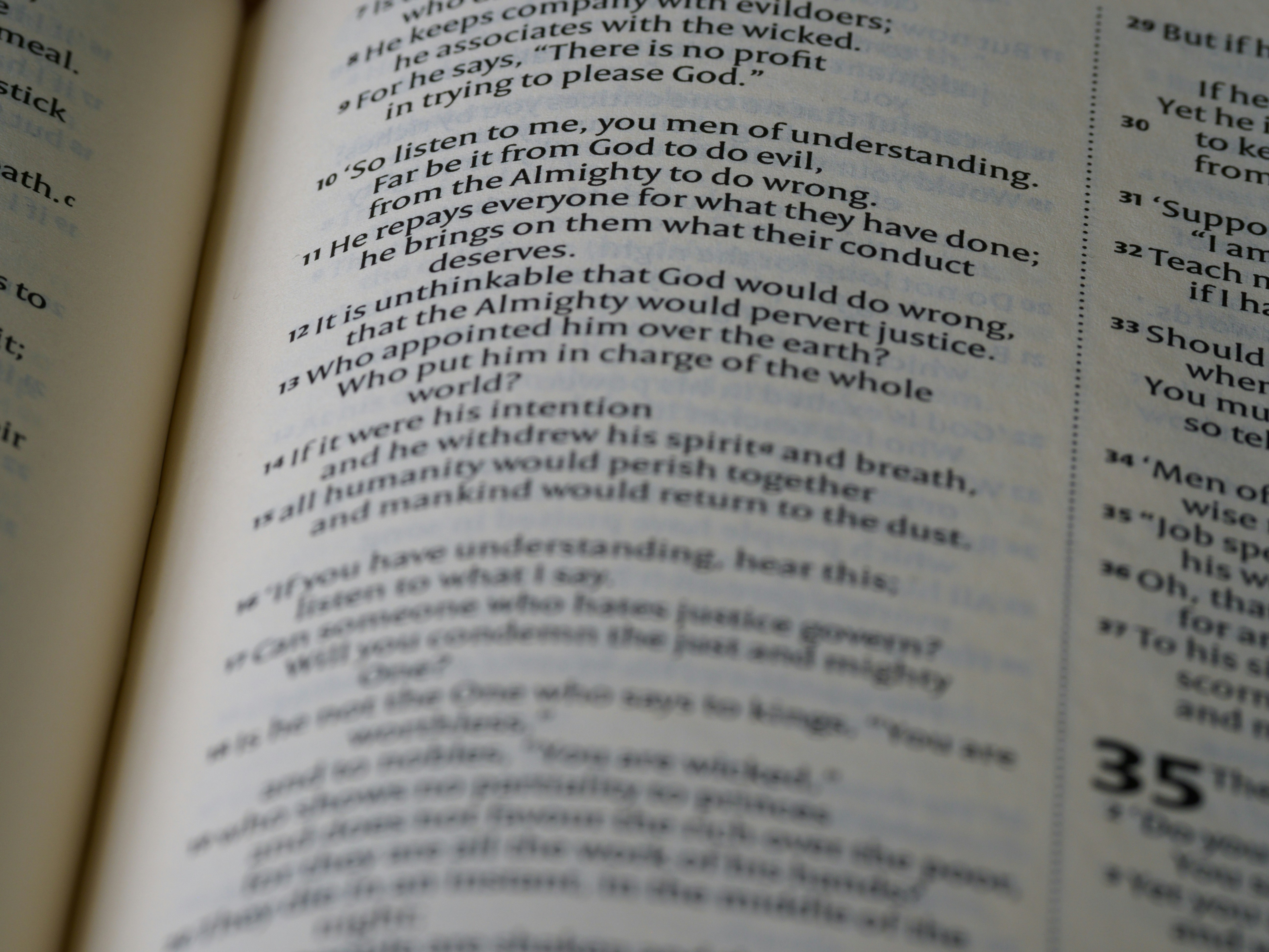 A close up of an open book with words on it photo – Free Grey Image on ...