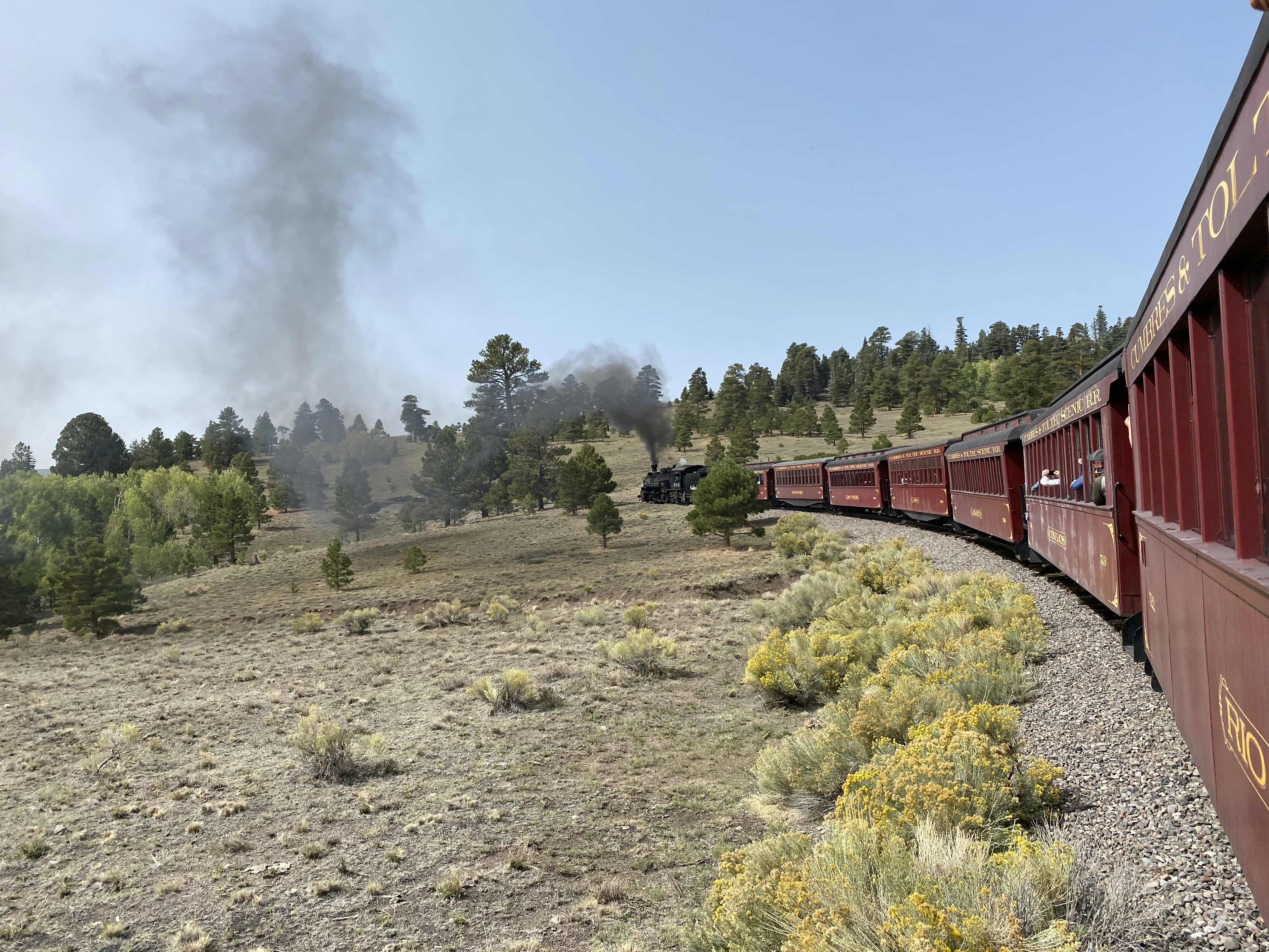 a train traveling through a lush green countryside