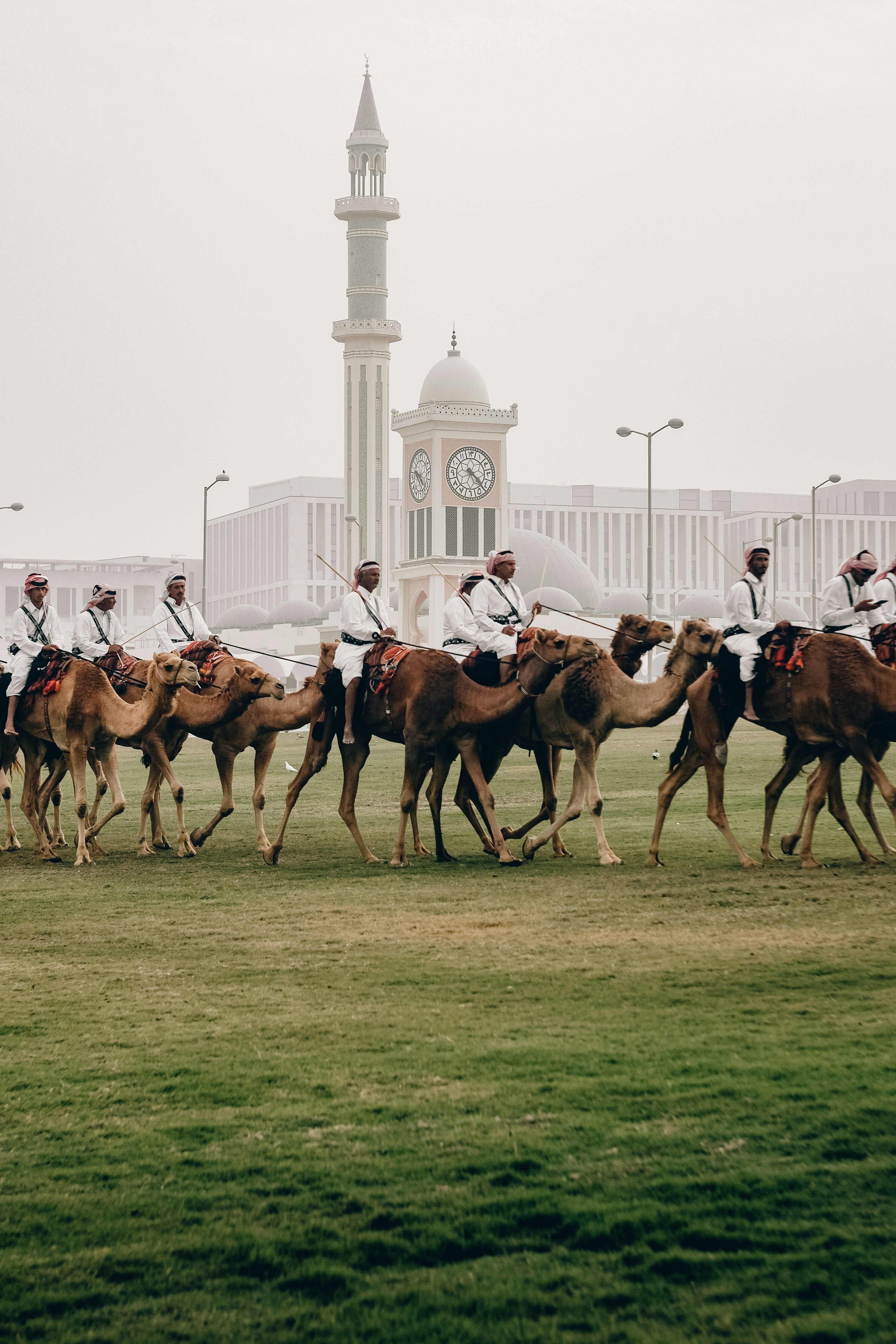 Camel Caravan Across a Green Field Before a Clock-Tower Skyline