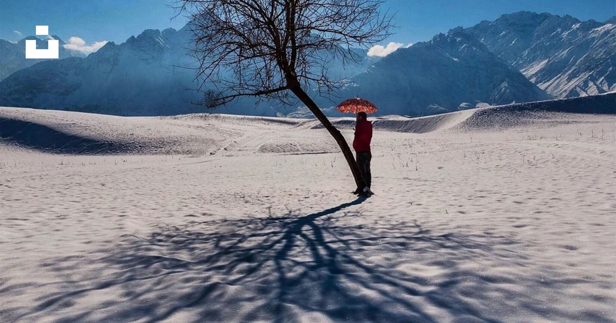 Foto Una Persona Parada Debajo De Un árbol En La Nieve Imagen