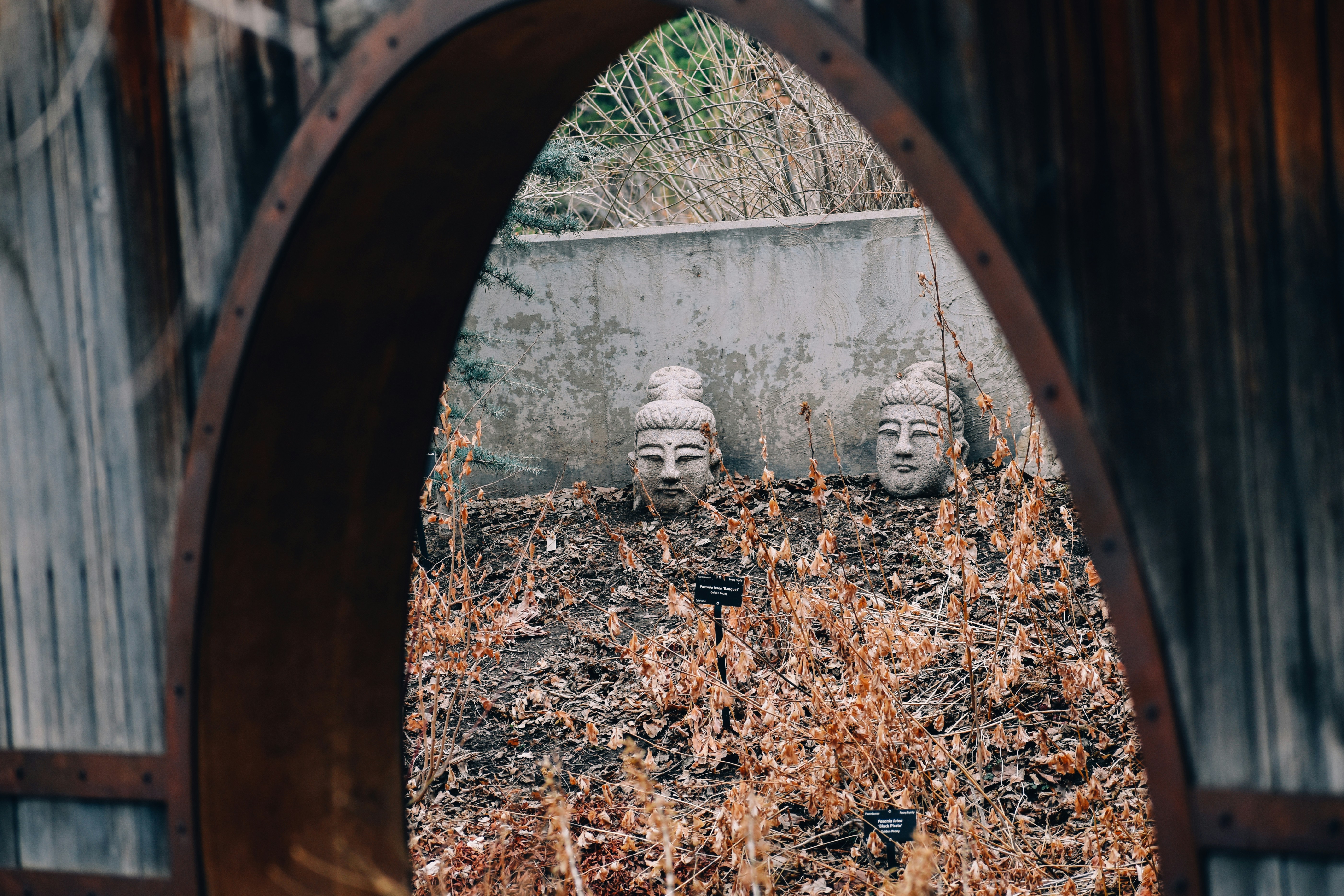 Photo by Morgan Newnham with Nikon D3500