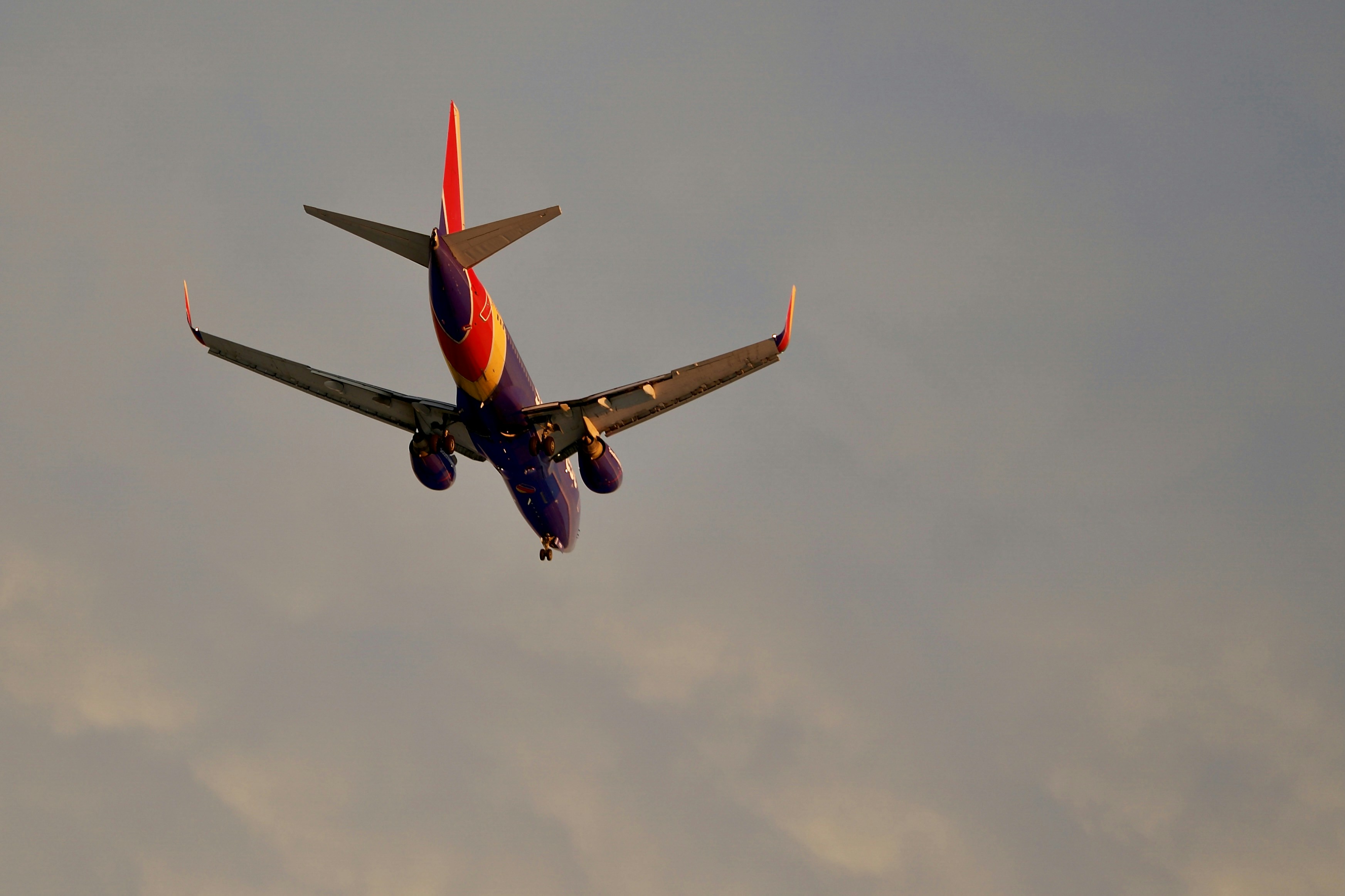 Soaring Through the Golden Hues