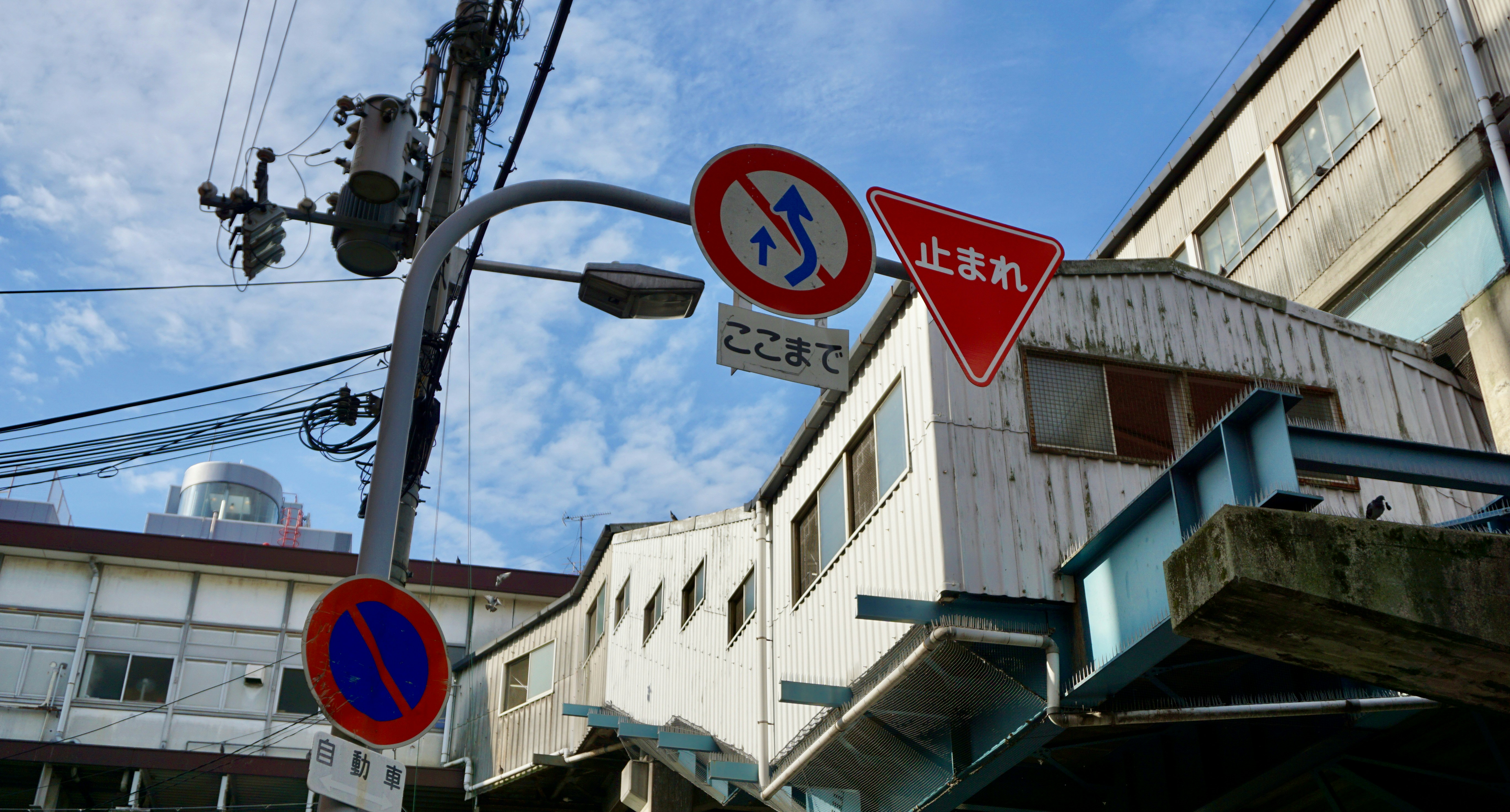 A red and blue street sign sitting on the side of a road photo – Free ...