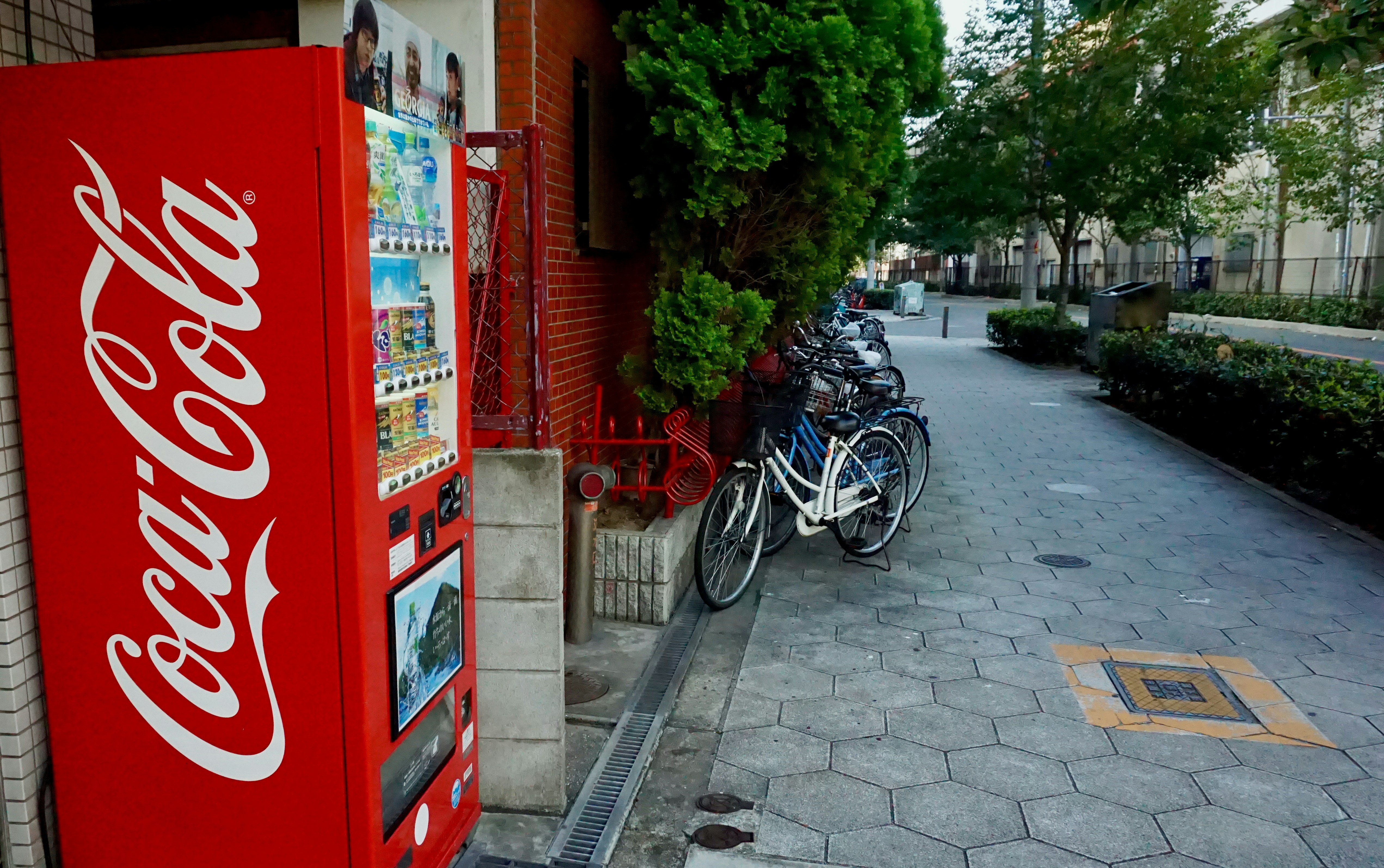 Red Hello: A Vivid Vignette of a Quiet Urban Curb