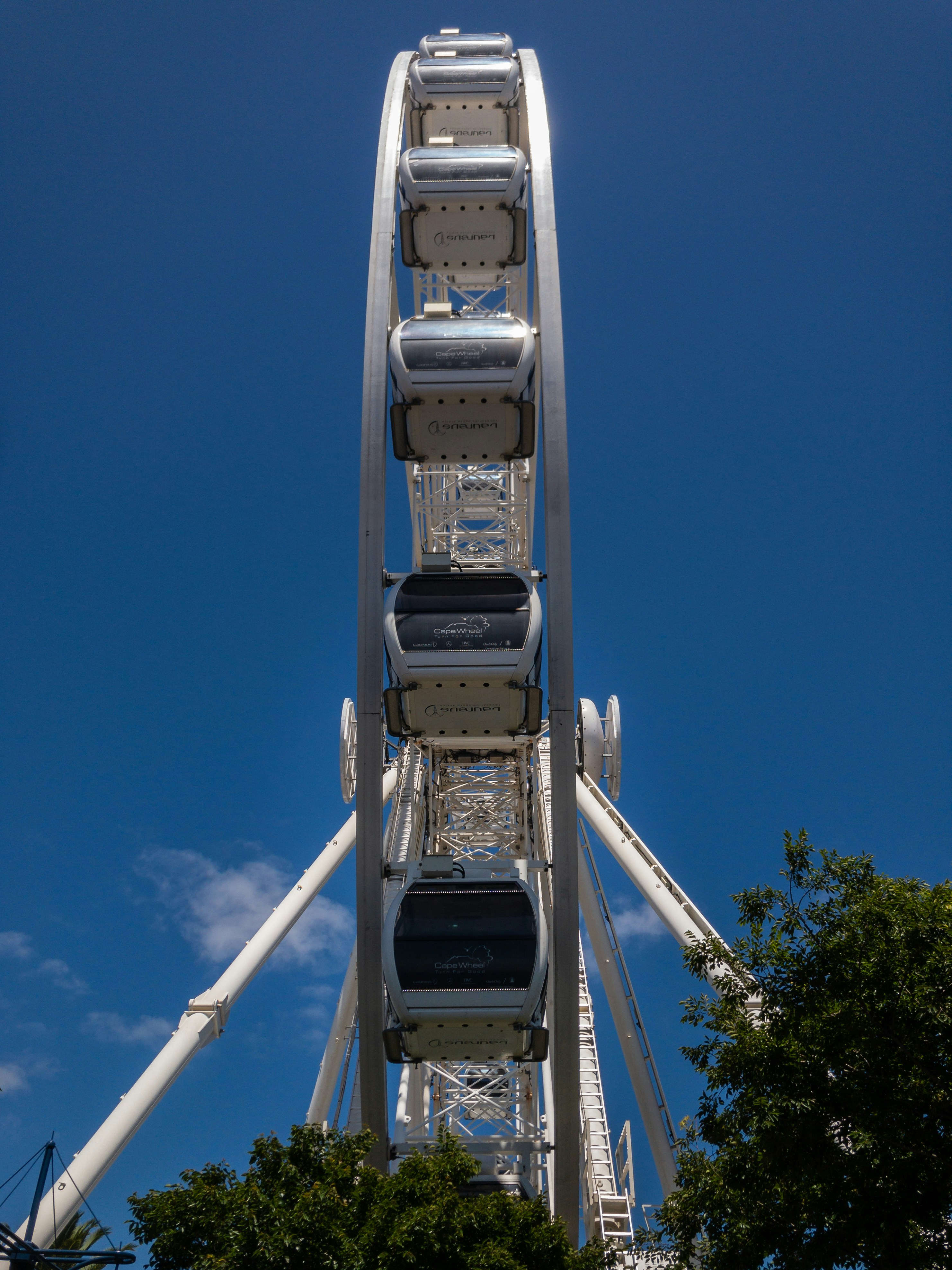 A towering Ferris wheel against a bright blue sky, showcasing its sleek design and passenger cabins. Lush greenery frames the base, adding a touch of nature to the amusement park scene.