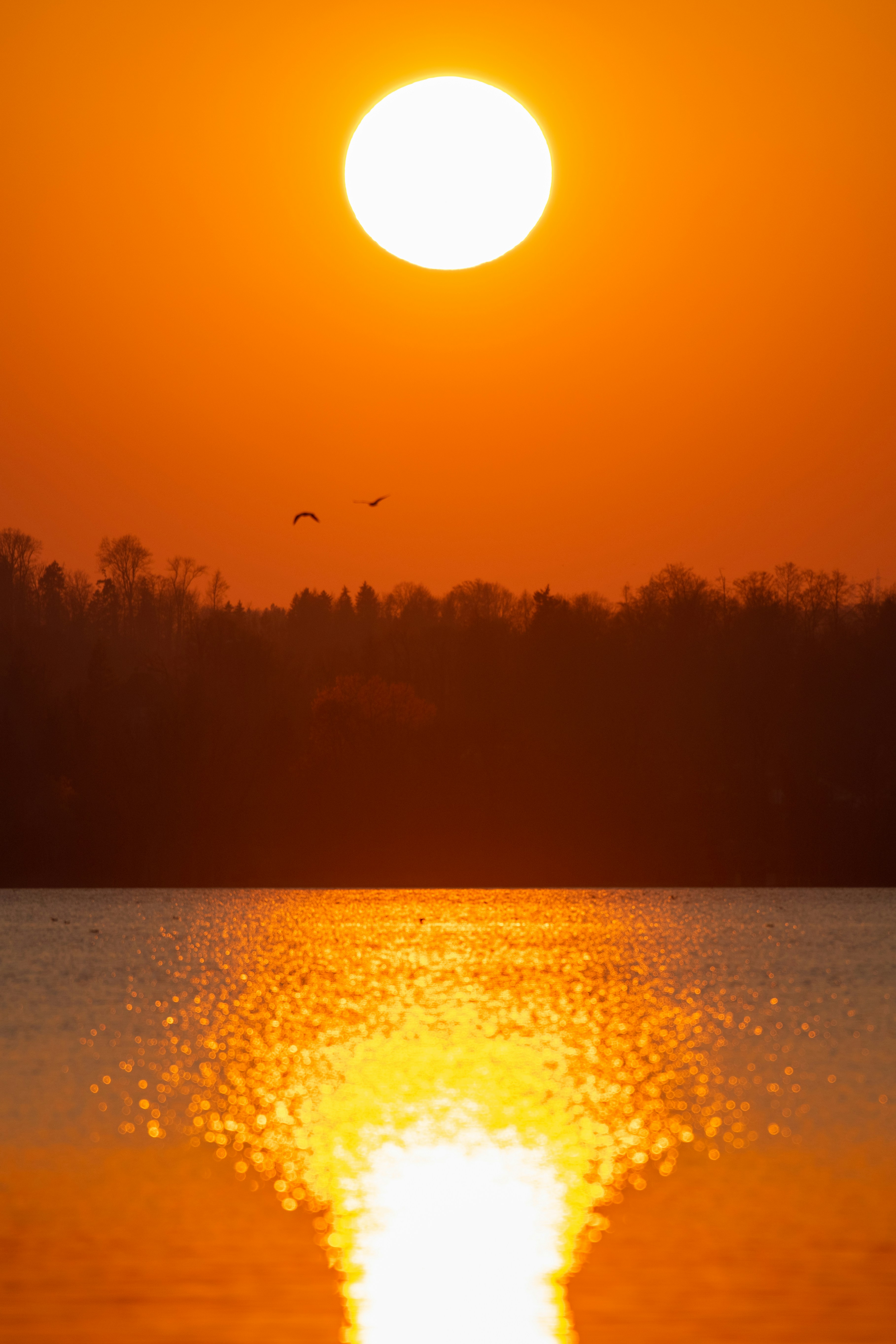 Sunlit Silence: Golden Hour over the Distant Shore