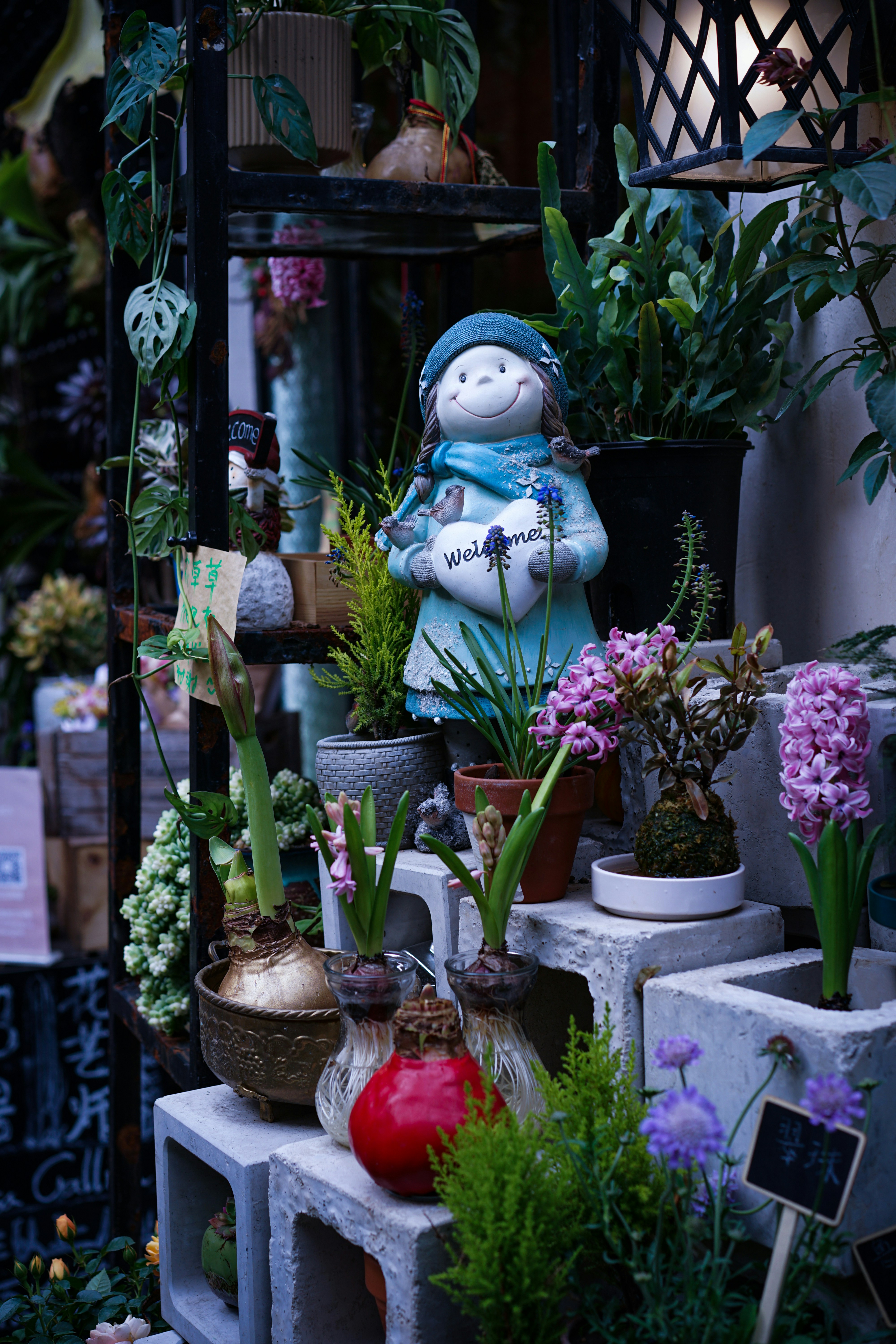 a bunch of plants that are on a shelf