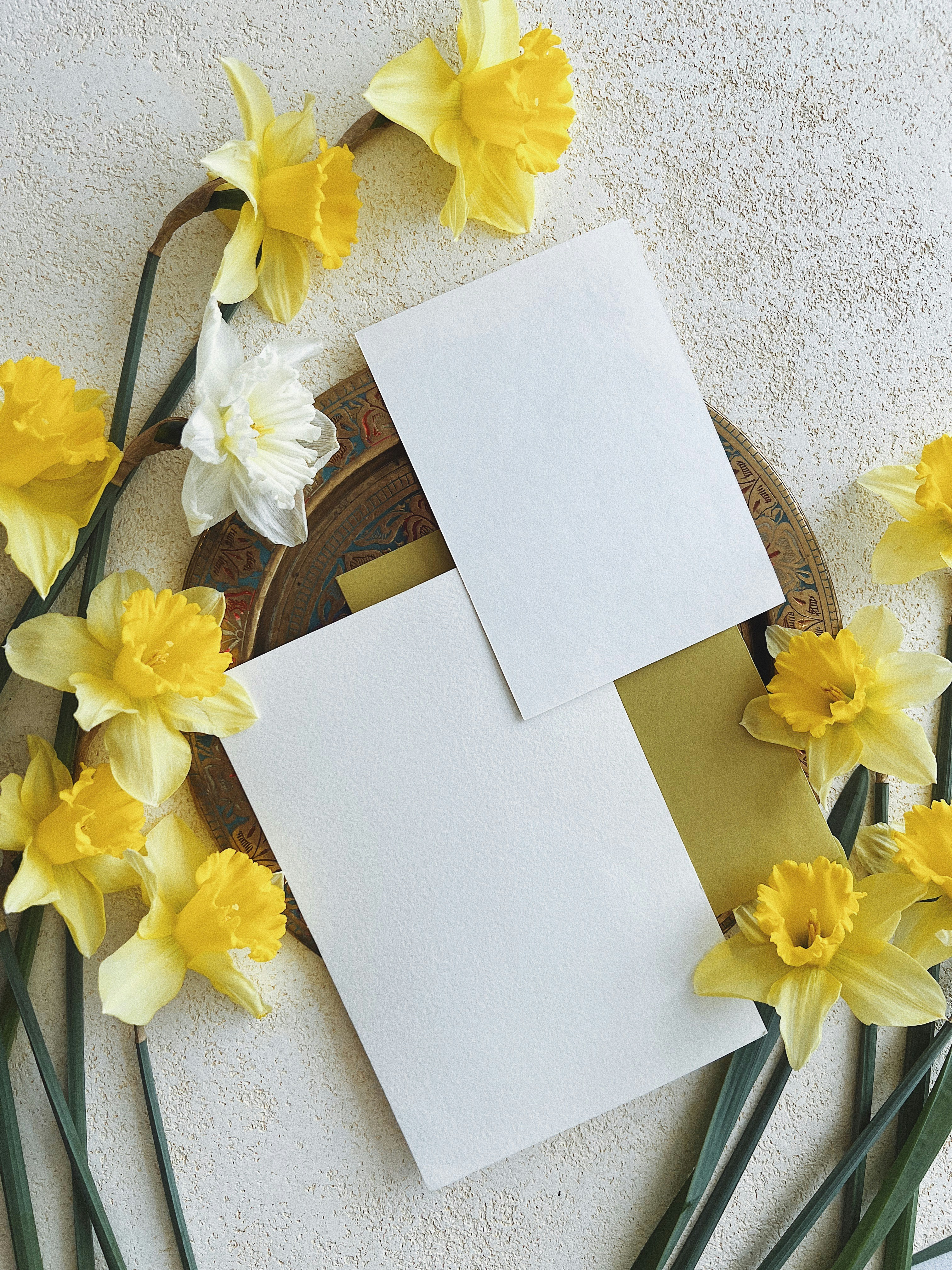Mockup Spring Postcard | a picture of some flowers and a piece of paper