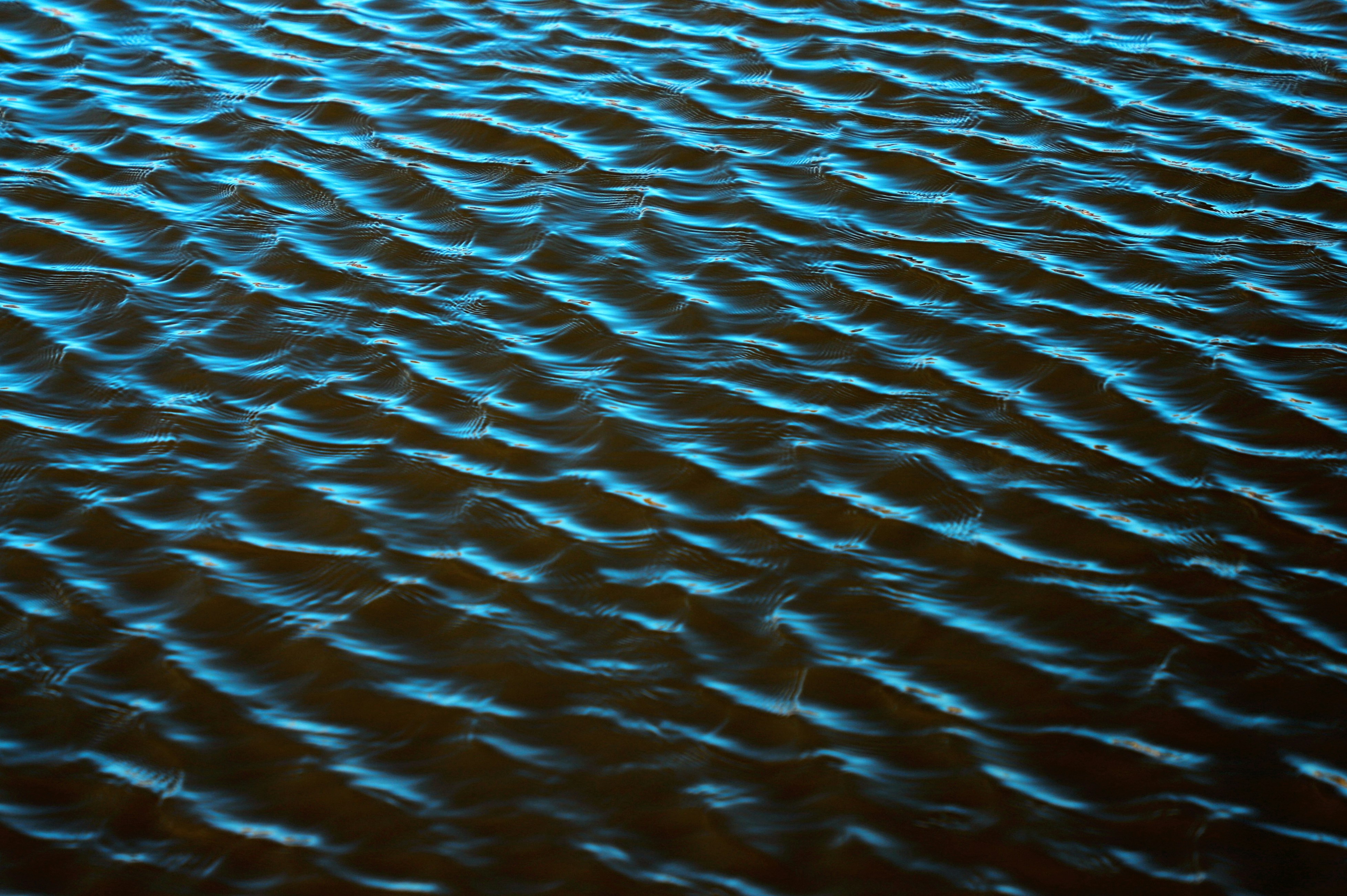 Water Movement Pictures | Download Free Images on Unsplash