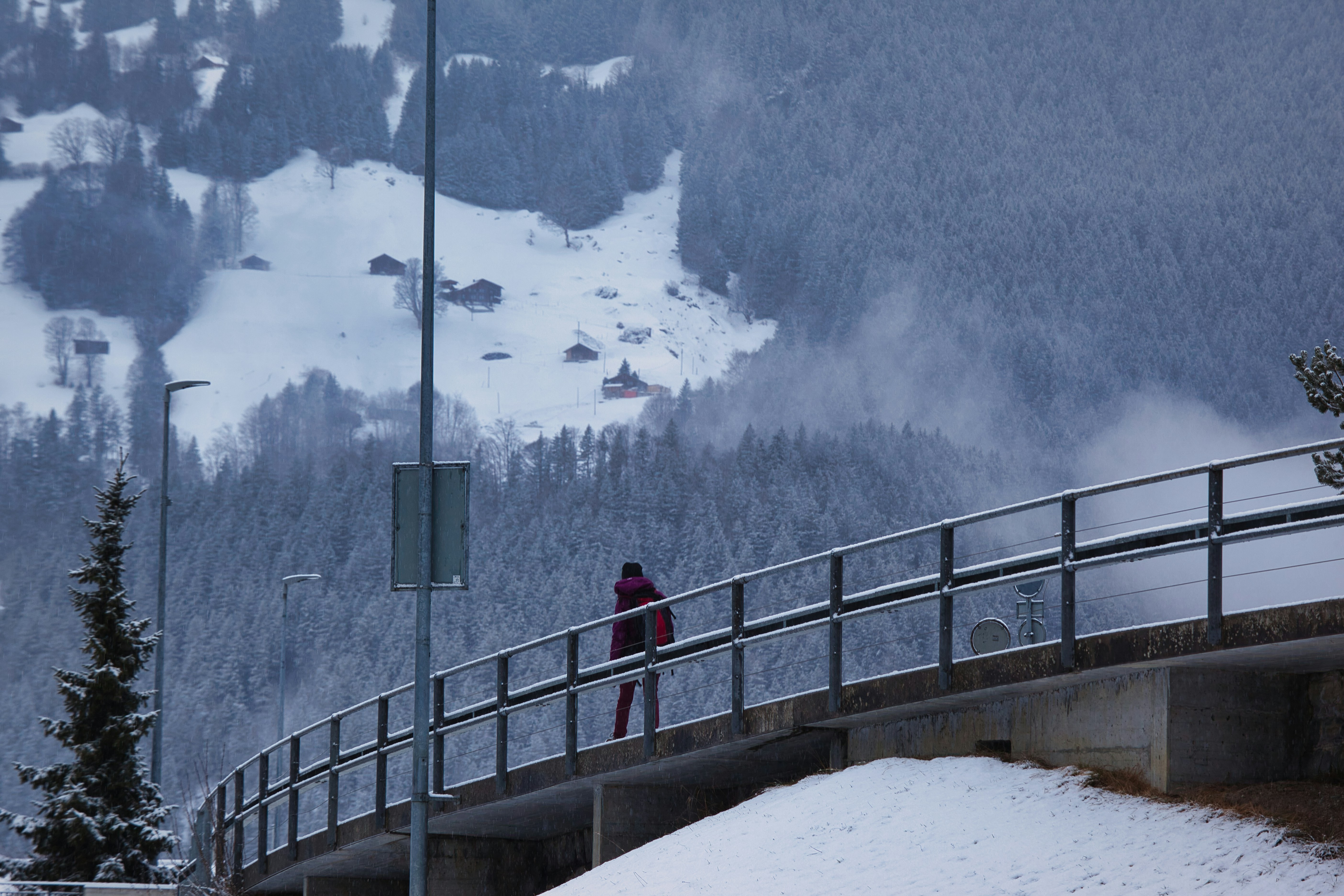 a person standing on a bridge in the snow