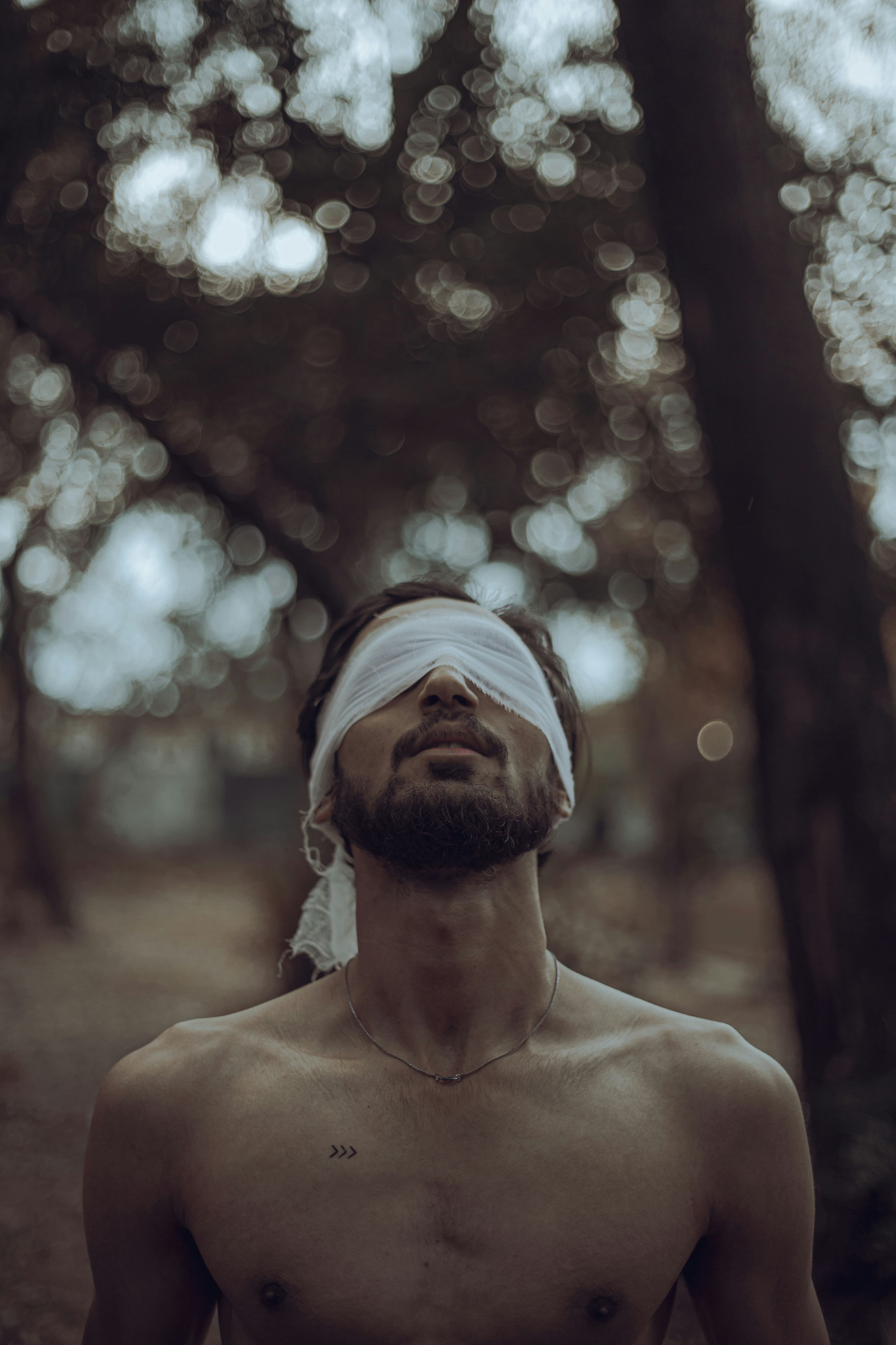 Blindfolded in the Pines: A Quiet Introspection
