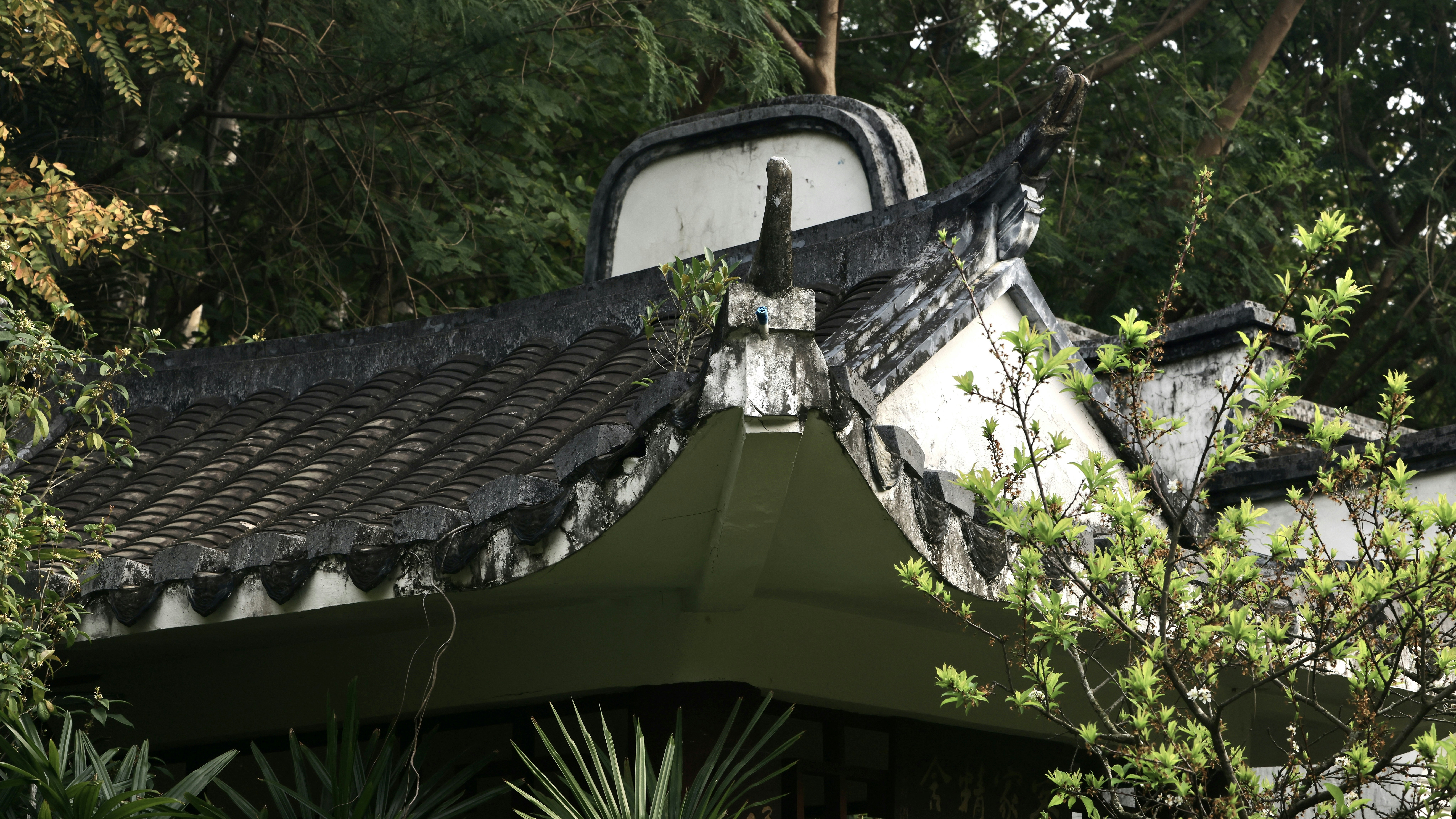 Photo by DL314 Lin with Canon EOS R5