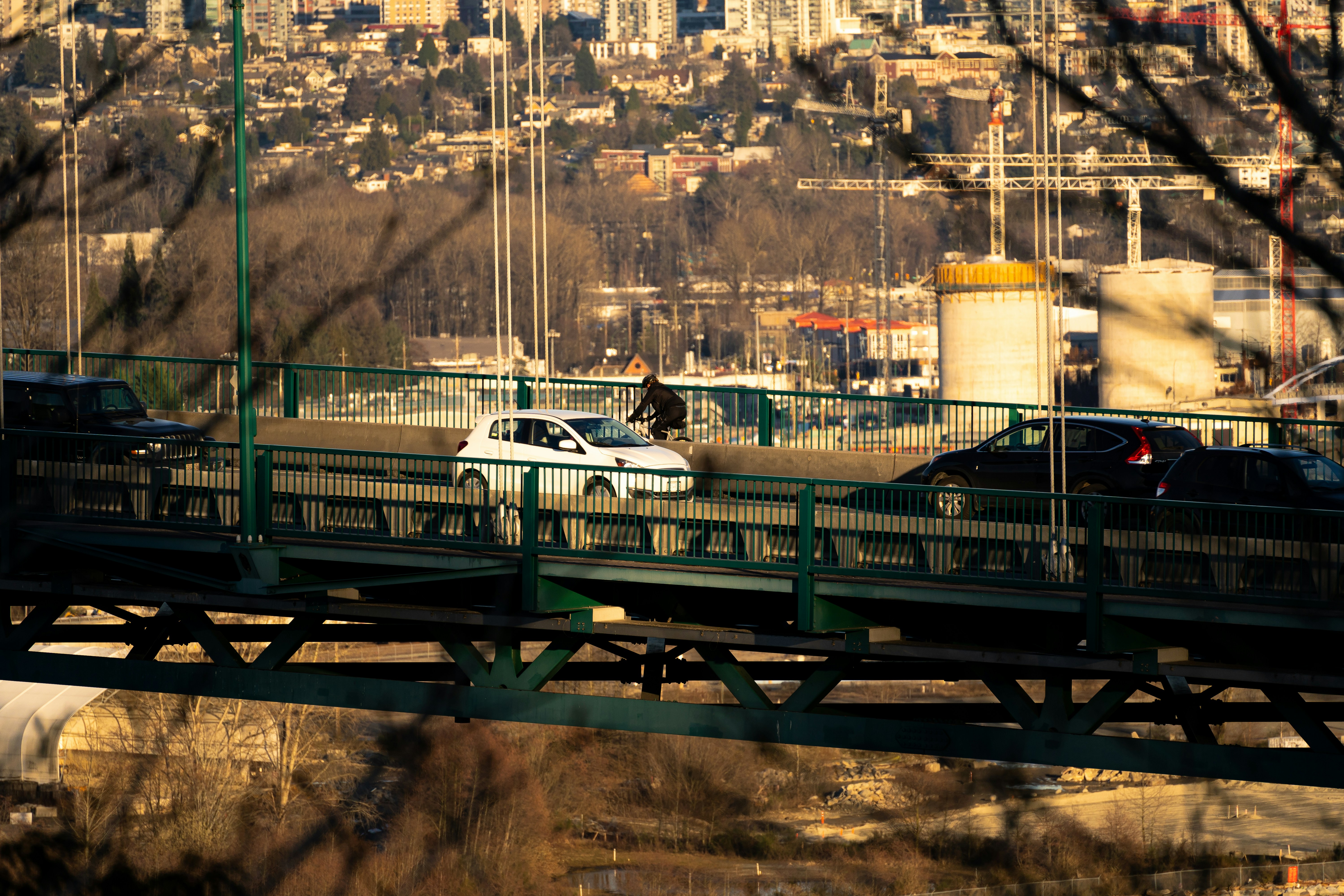 Cars navigate a busy bridge against a backdrop of a bustling cityscape. The scene captures the intersection of nature and urban life.