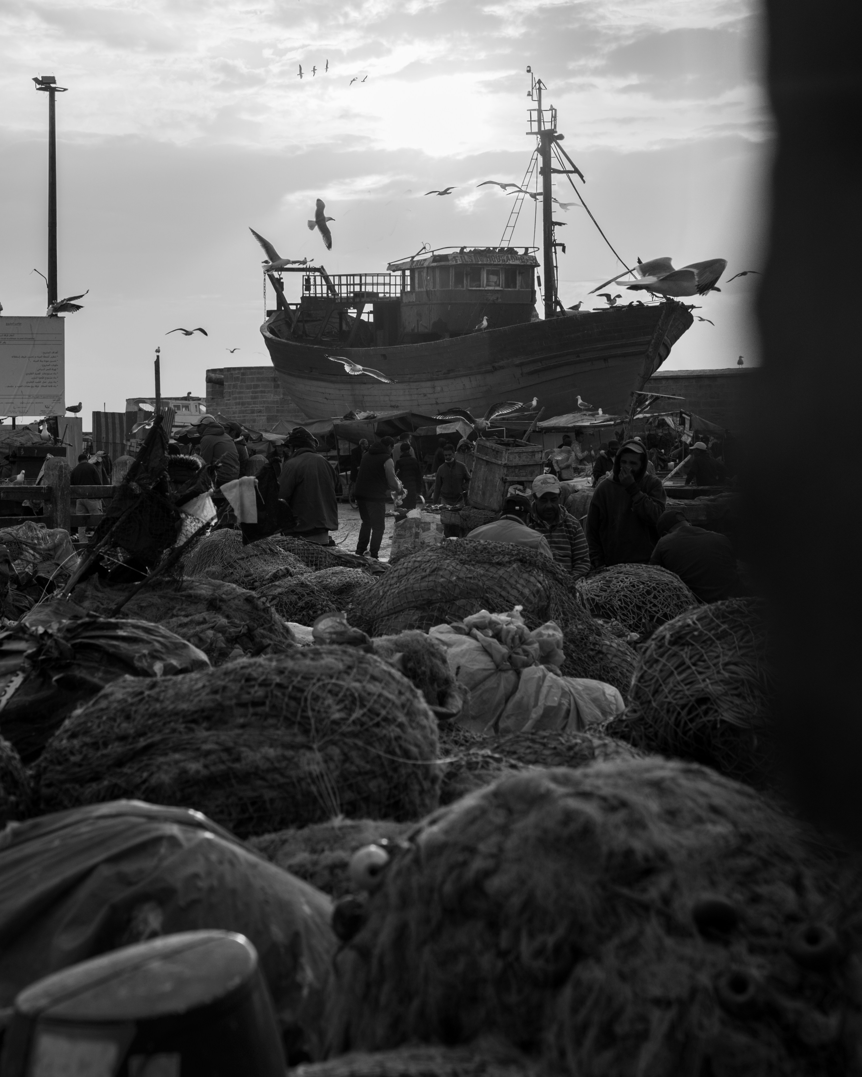 Harbor of Echoes: A Ship, a Sea of Lobster Nets, and a Crowd at Dusk