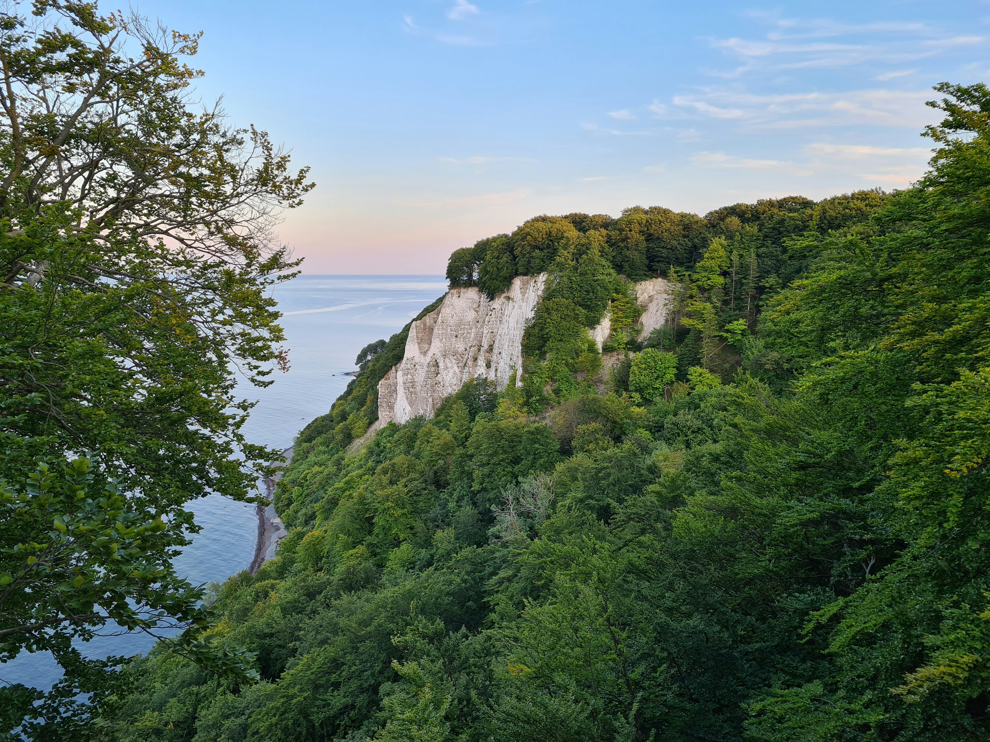A scenic view of a cliff with trees on both sides photo – Free Rügen ...