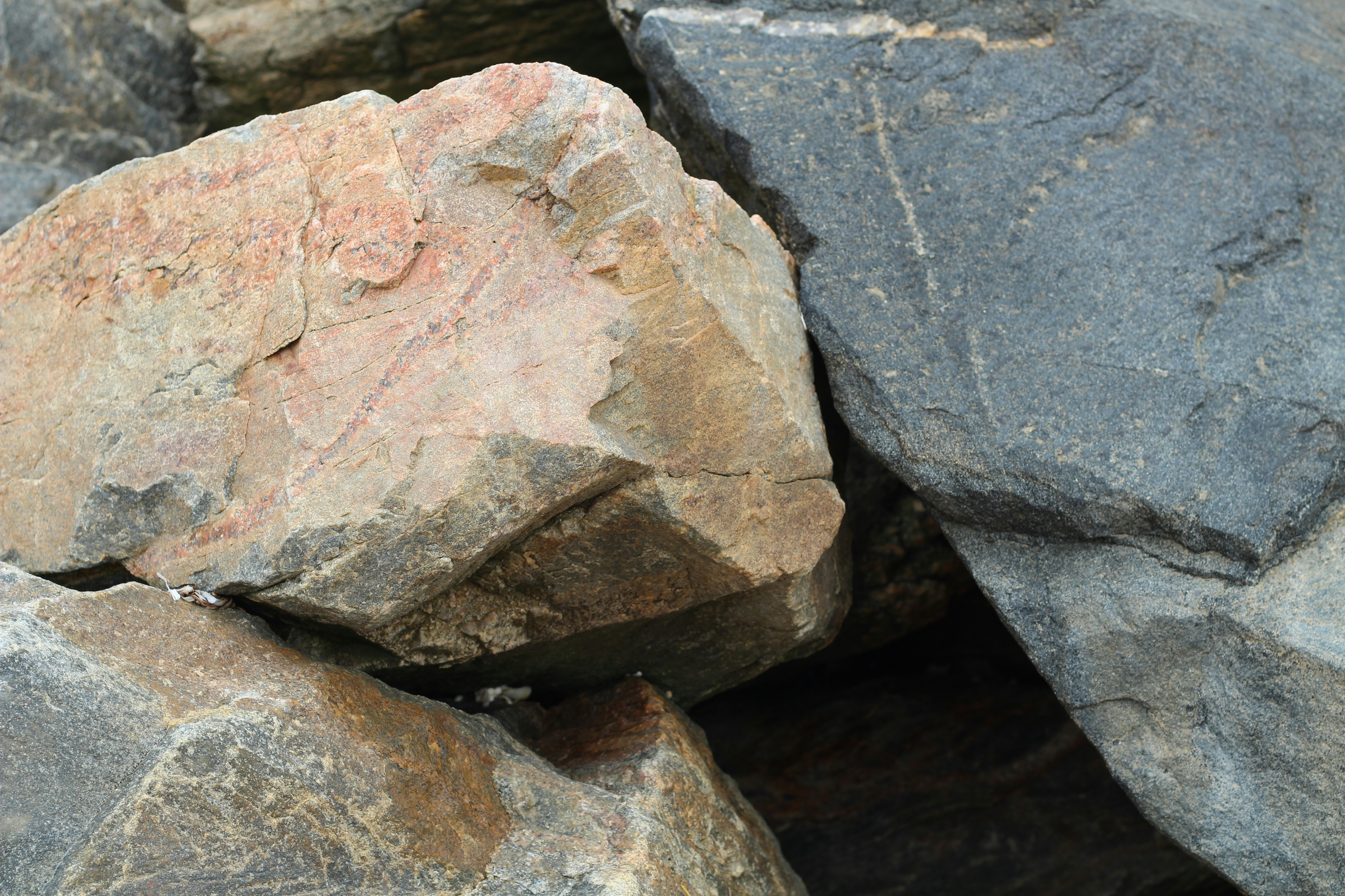 350+ Stone Texture Pictures | Download Free Images on Unsplash