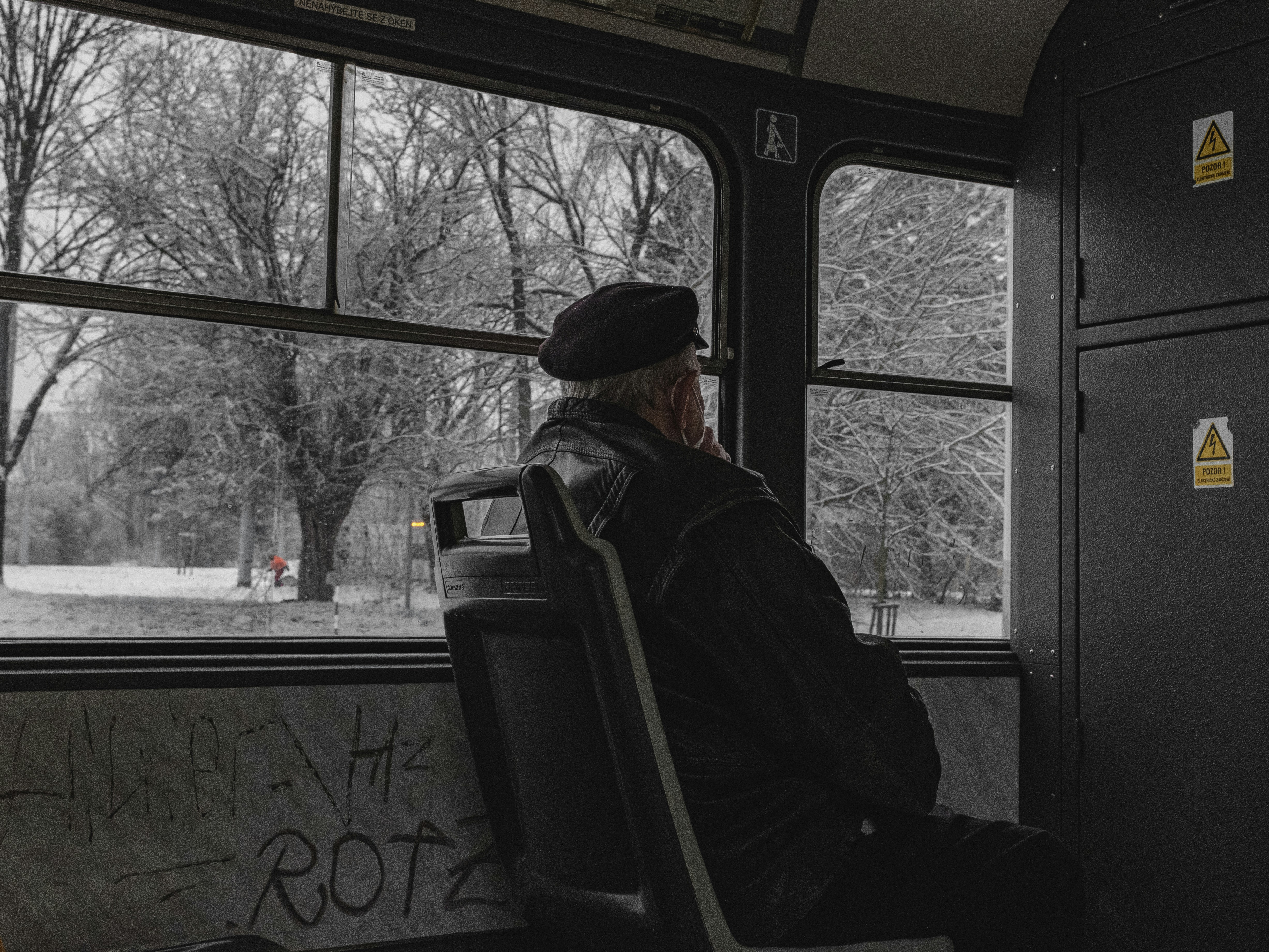 Silent Passenger: A Winter Bus Stop Portrait