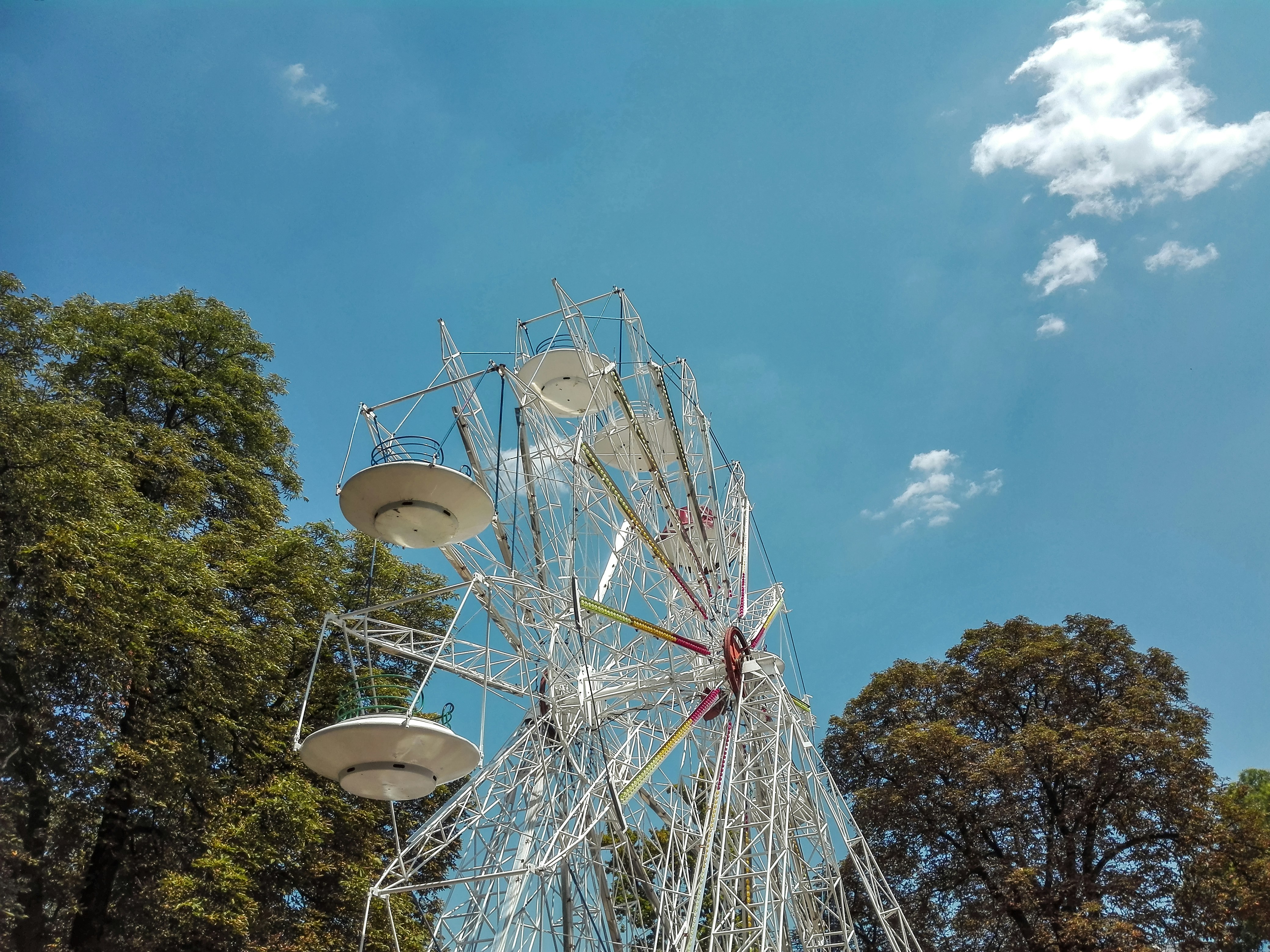 A towering Ferris wheel stands against a bright blue sky, surrounded by lush green trees, inviting thrill-seekers to enjoy a ride.