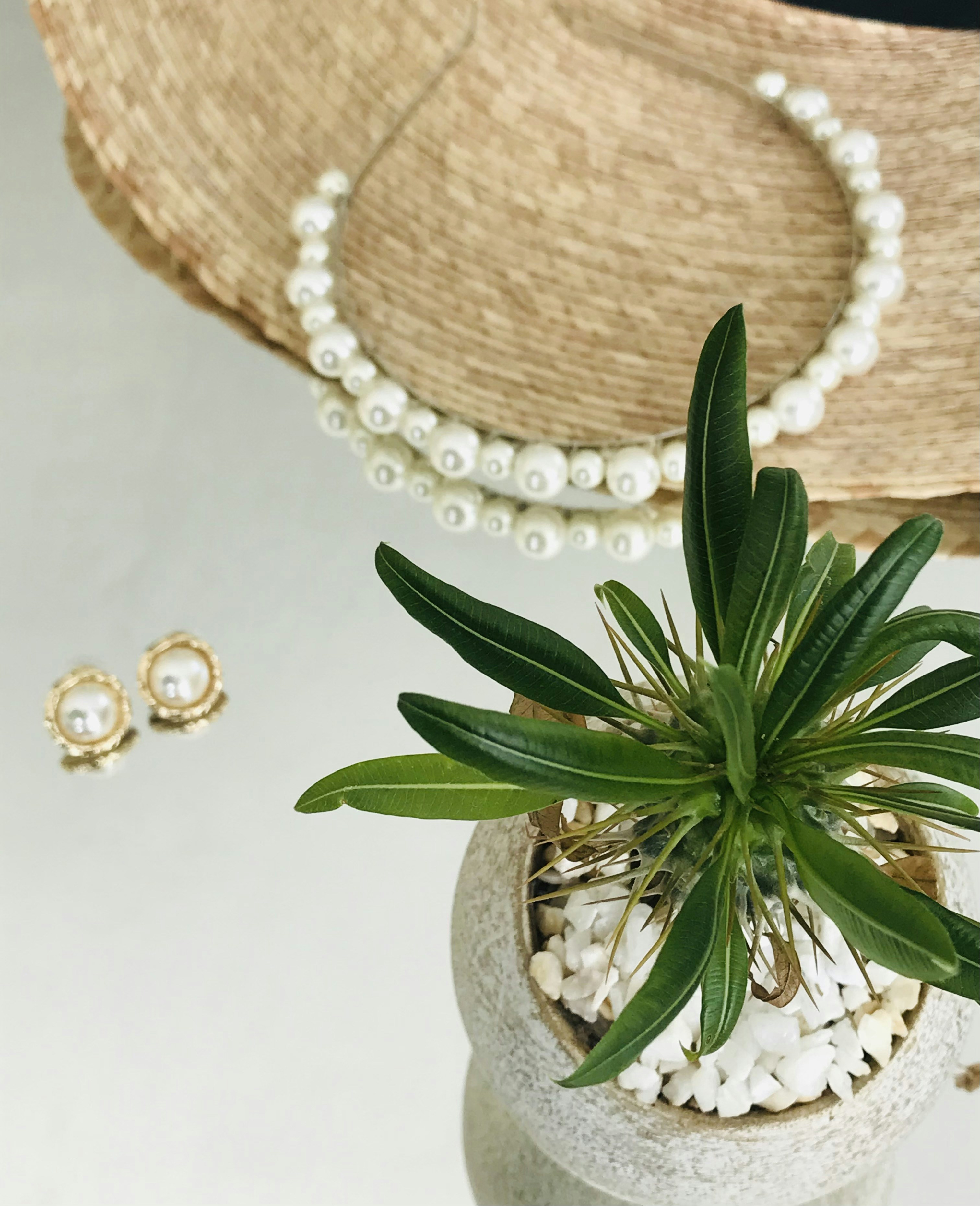 a plant in a vase with pearls and a necklace