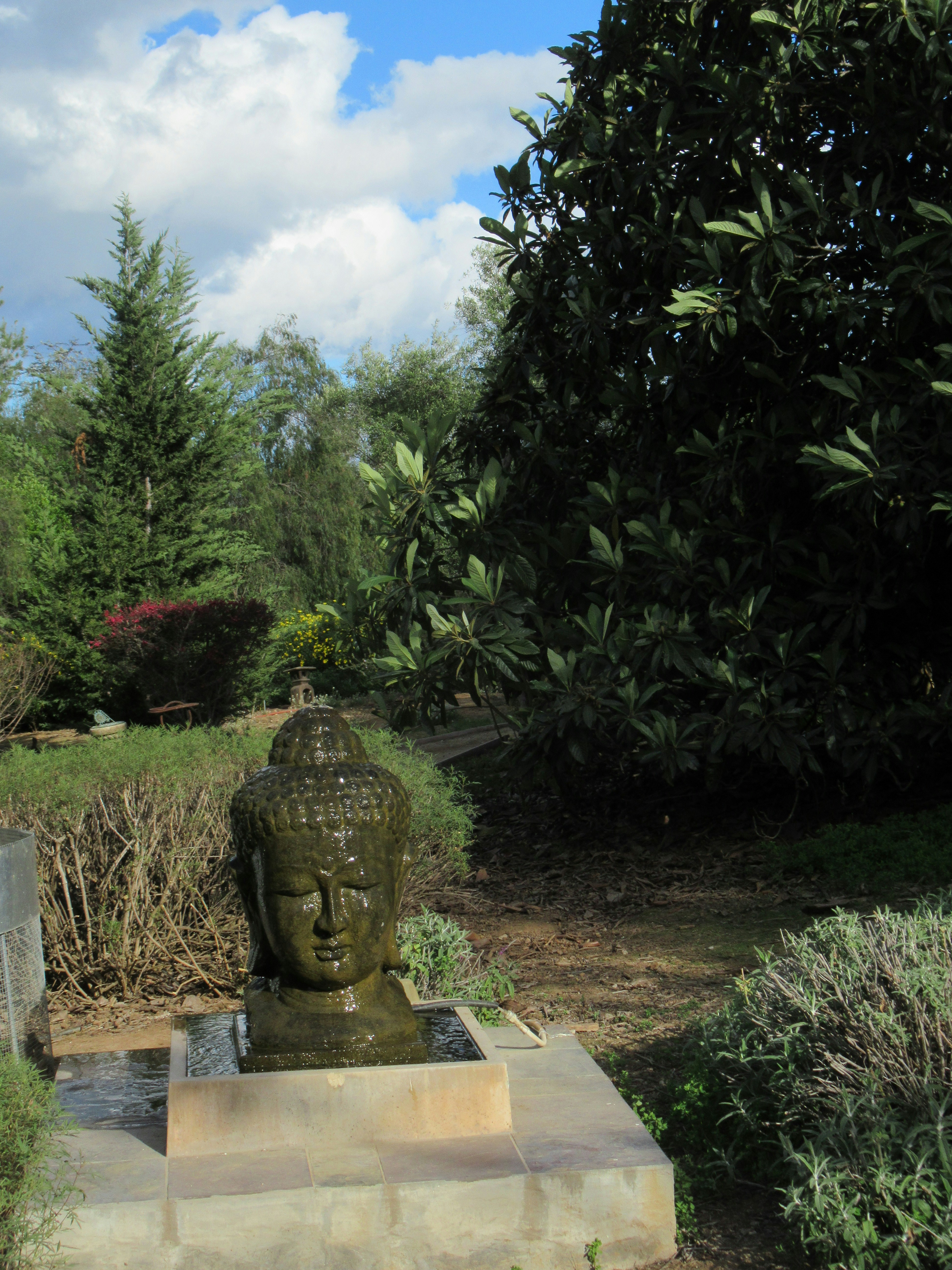 A mossy Buddha head fountain sits on a stone pedestal in a sunlit garden. Surrounded by hedges and tall trees, it forms a tranquil focal point.