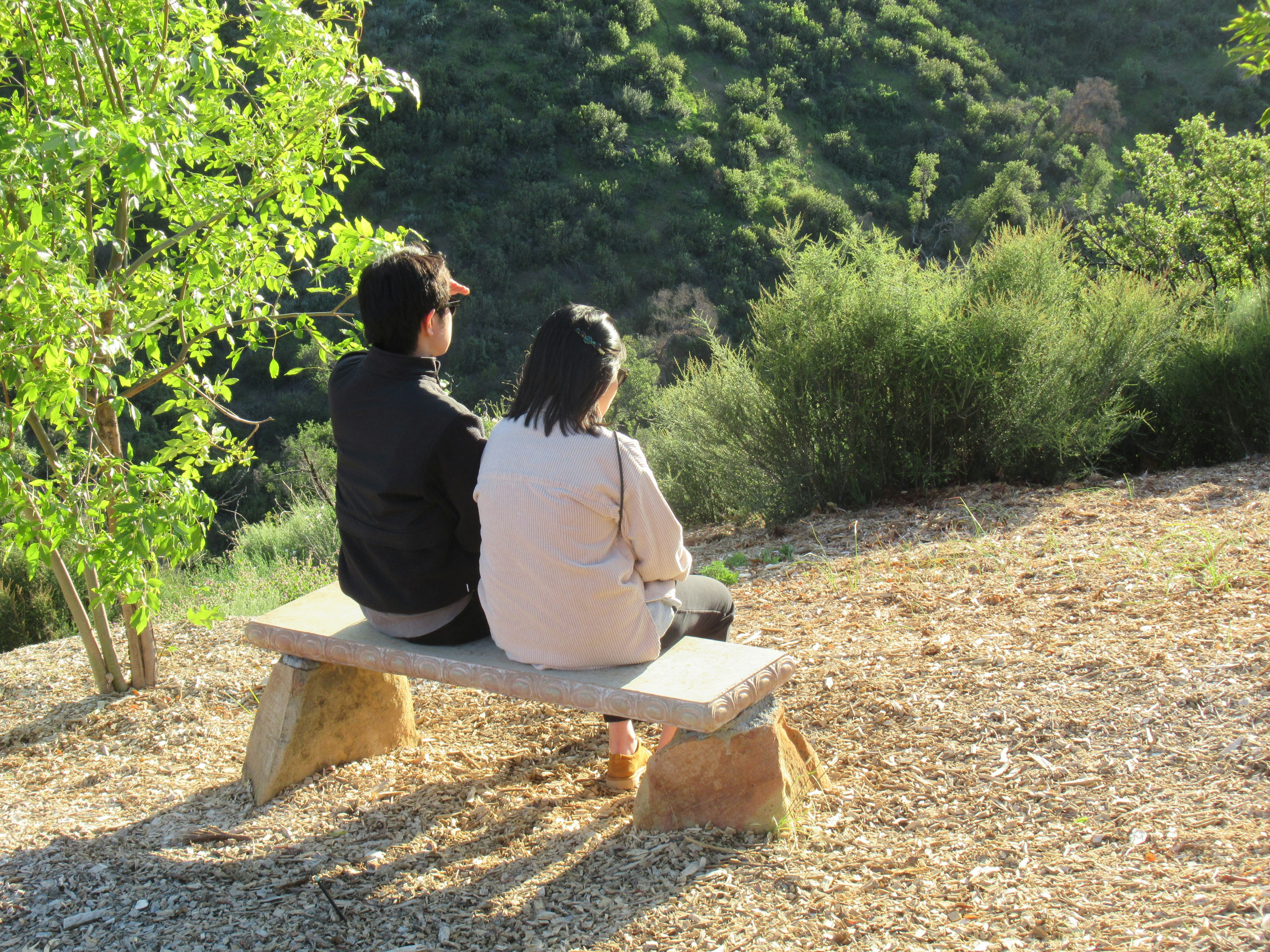 Two individuals seated on a bench, gazing at a lush hillside, surrounded by greenery and tranquility.