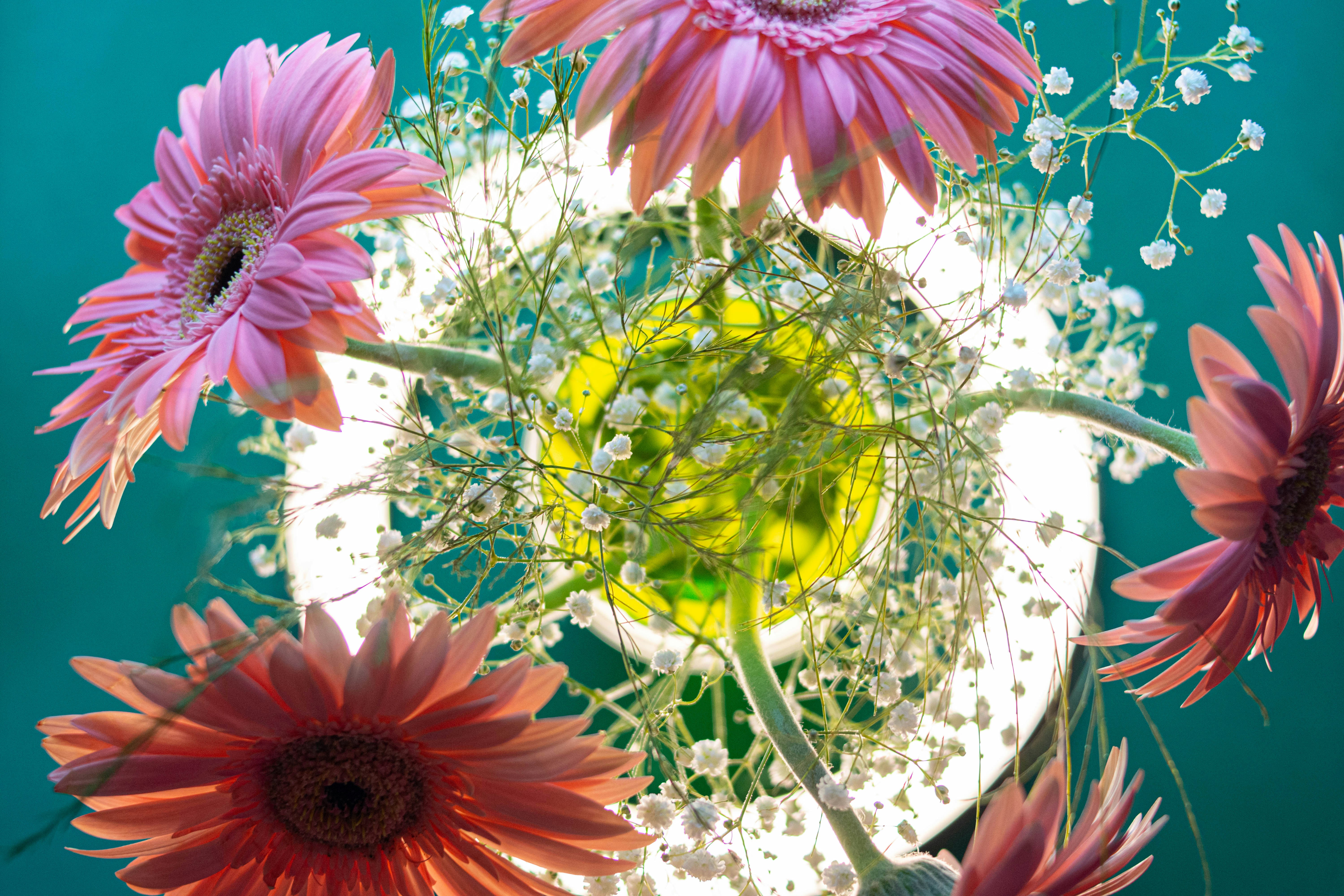 a bunch of flowers that are sitting on a table