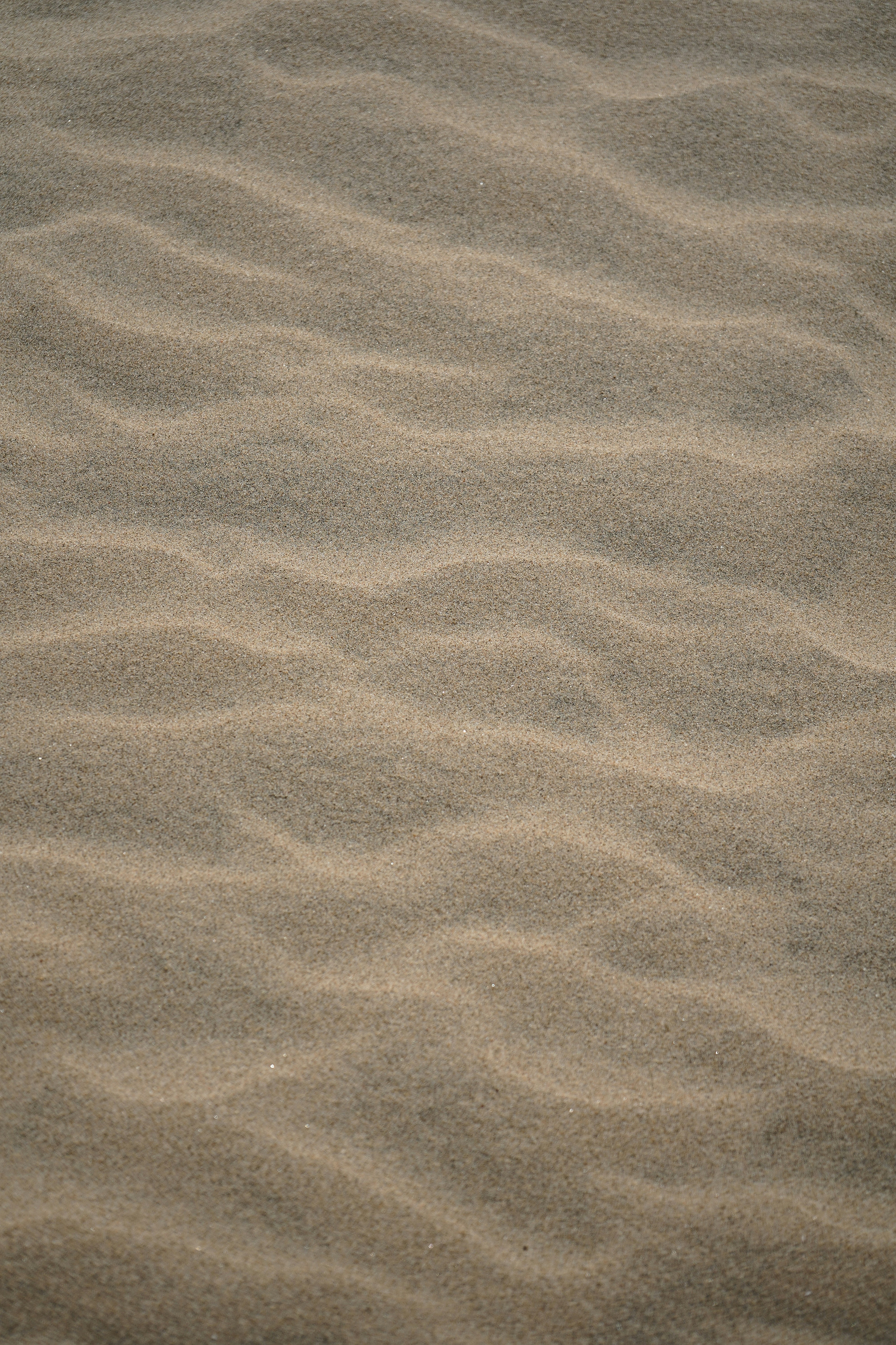 A sandy beach covered in lots of sand photo – Free India Image on Unsplash
