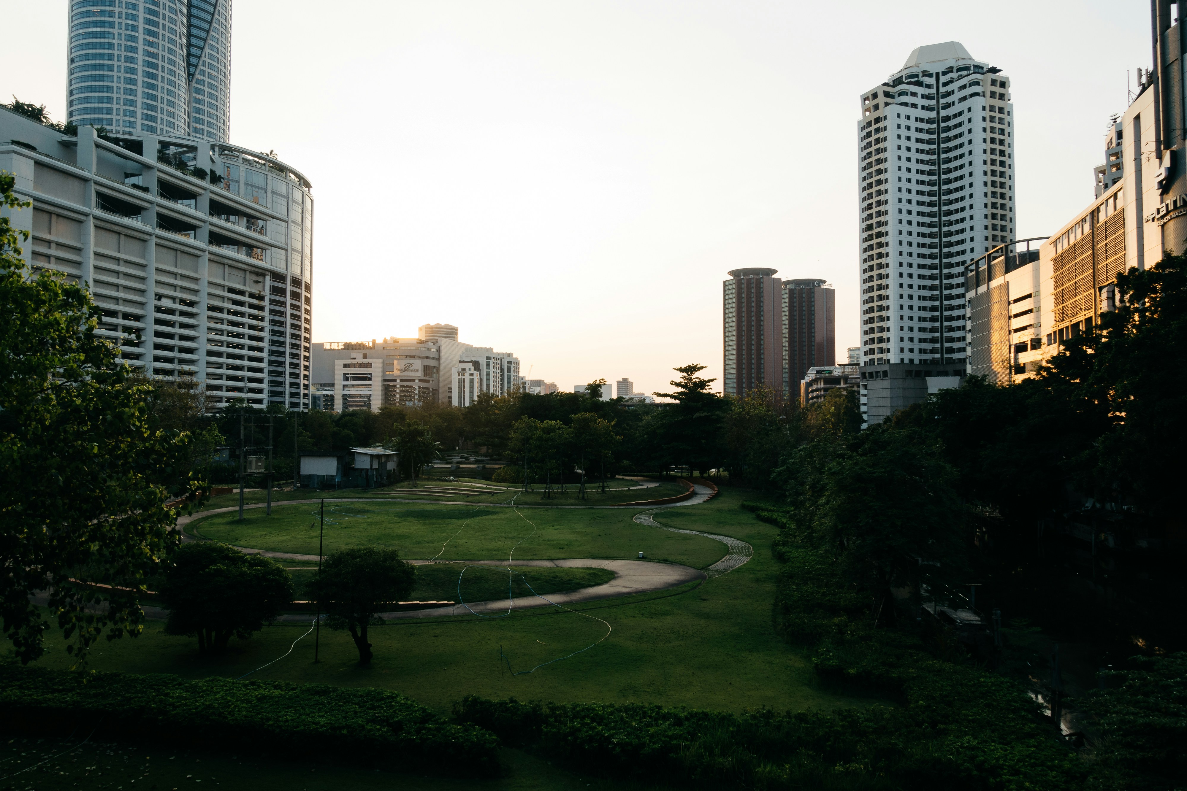 A park in a city with tall buildings in the background photo – Free ...