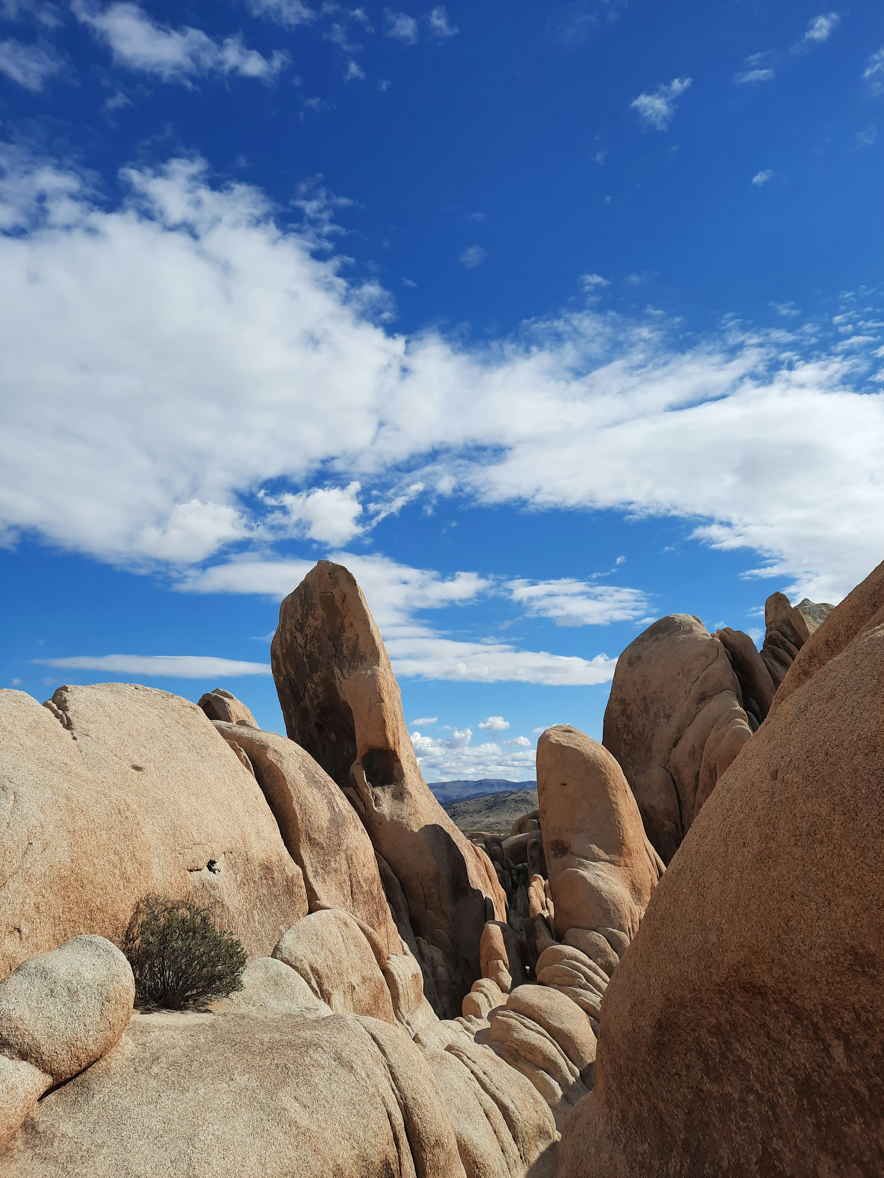 Une grande formation rocheuse au milieu d’un désert photo – Photo Azul ...