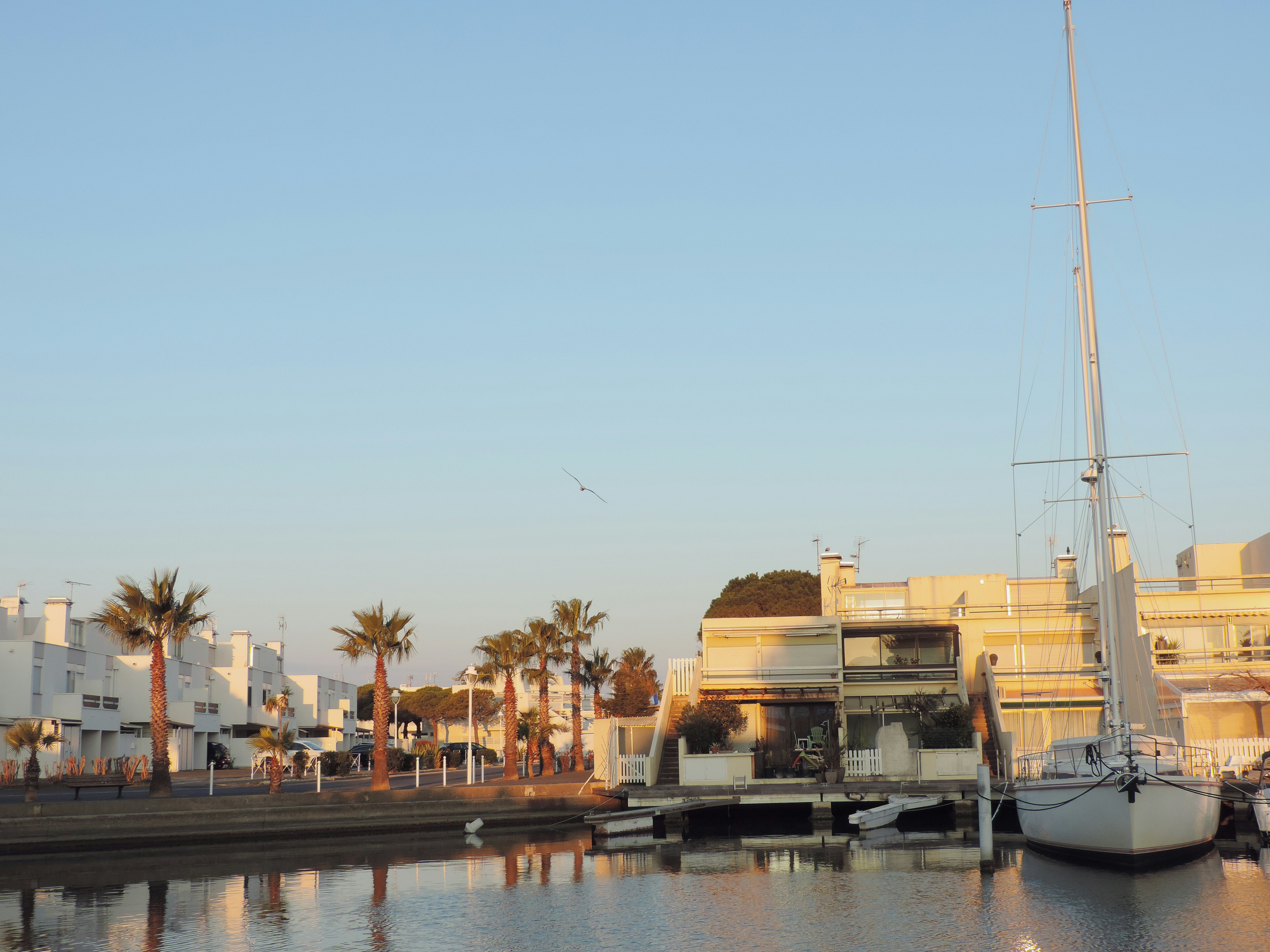 Sailboat docked at a tranquil marina with palm trees and buildings in the warm glow of sunrise.