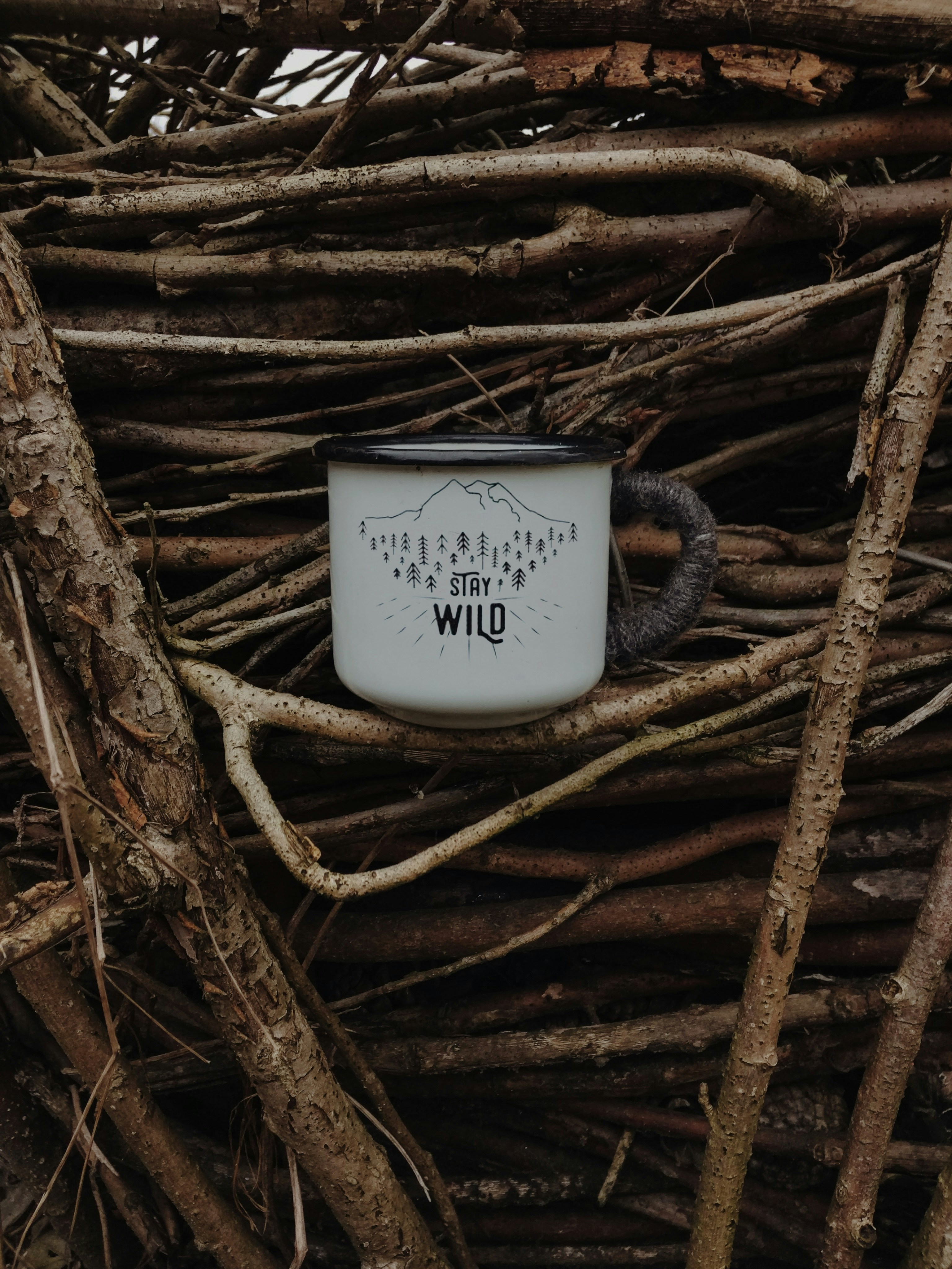 Stay Wild, Nestled: A White Mug Emerges from a Branches Nest