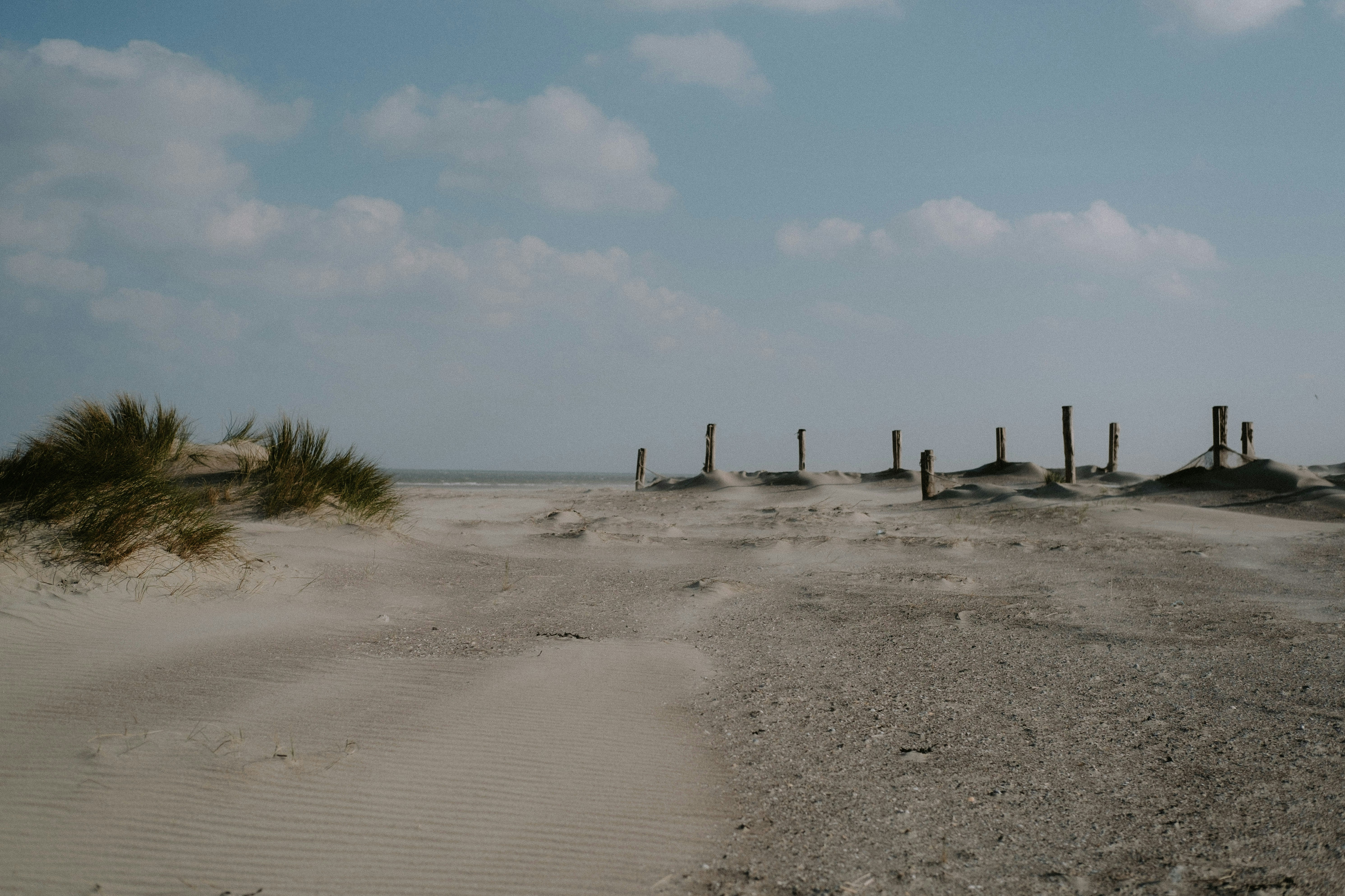 Desolate beach landscape featuring weathered wooden posts emerging from the sand, with tufts of grass dotting the foreground. A serene sky with scattered clouds looms above.